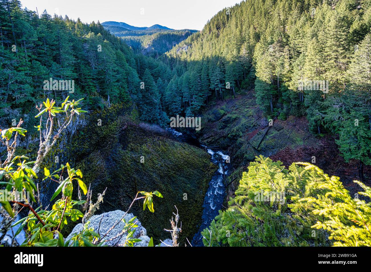 Lush green valley surrounded wooded hi-res stock photography and images ...