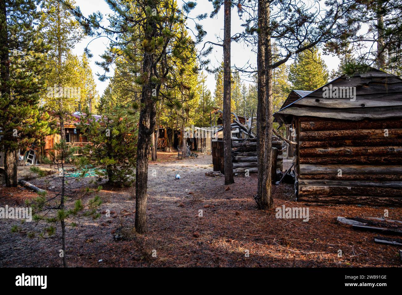 A rustic log cabin in the woods. High Desert, Oregon, USA Stock Photo ...