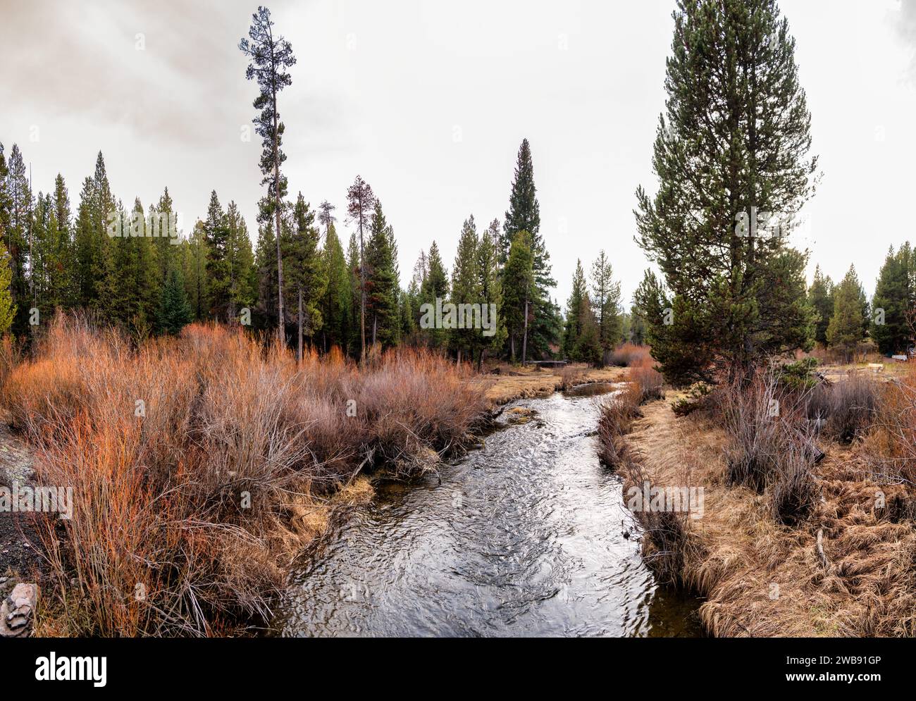 A beautiful landscape with a creek meandering through a lush grassy ...