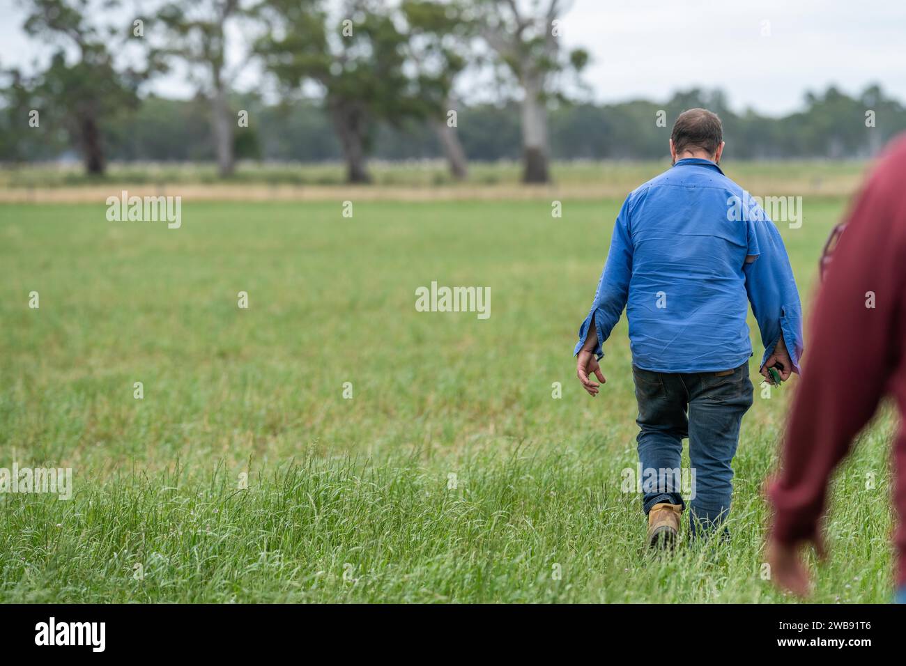 regenerative organic farmer, taking soil samples and looking at plant ...