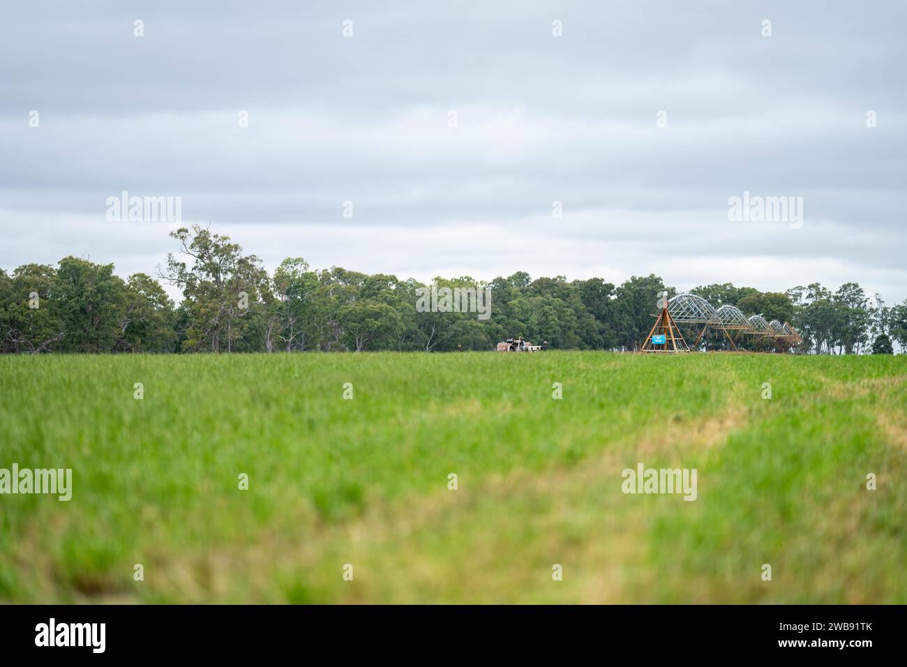 pivot irrigation in an agriculture field growing green food and grass ...