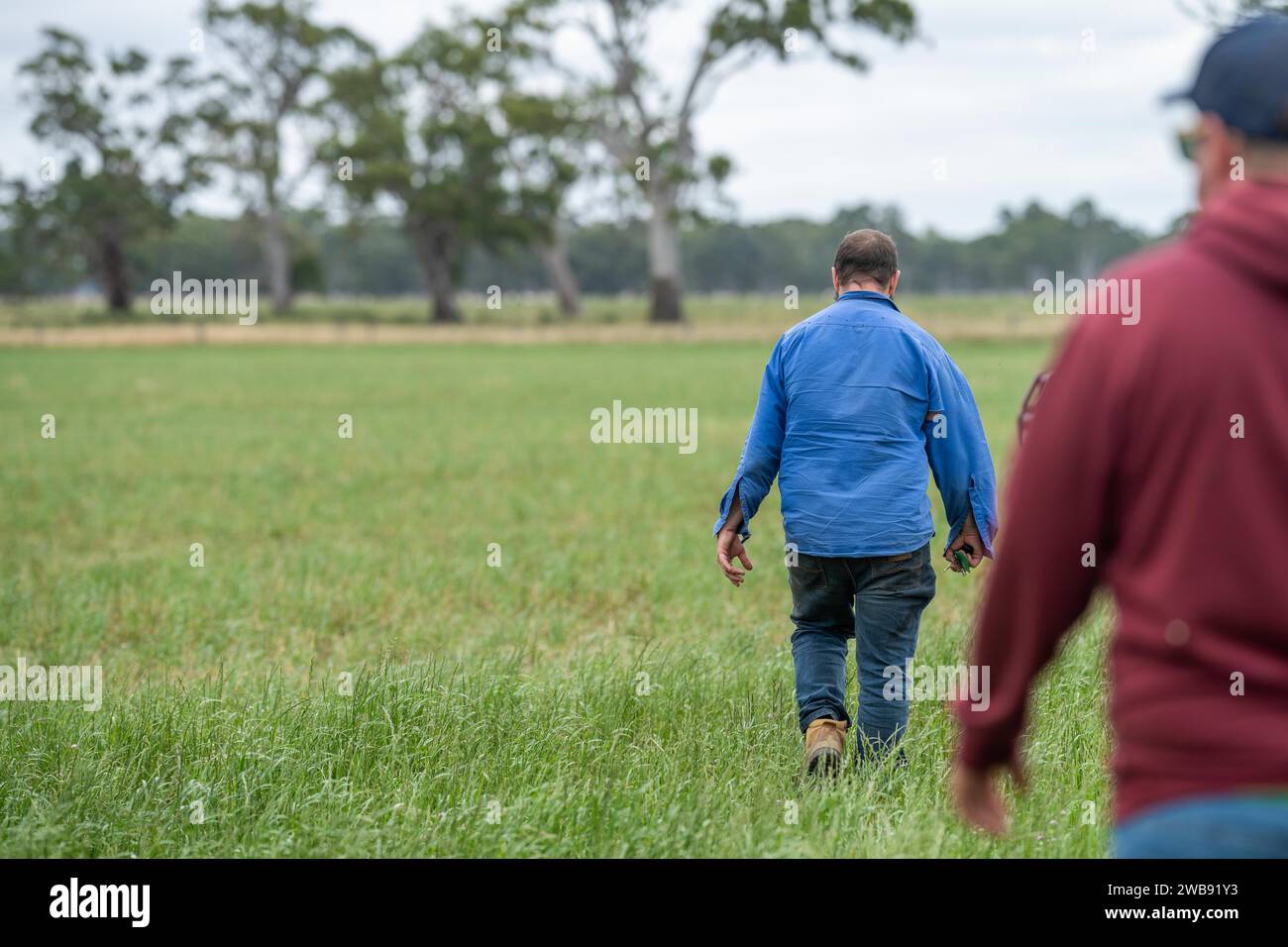 regenerative organic farmer, taking soil samples and looking at plant ...