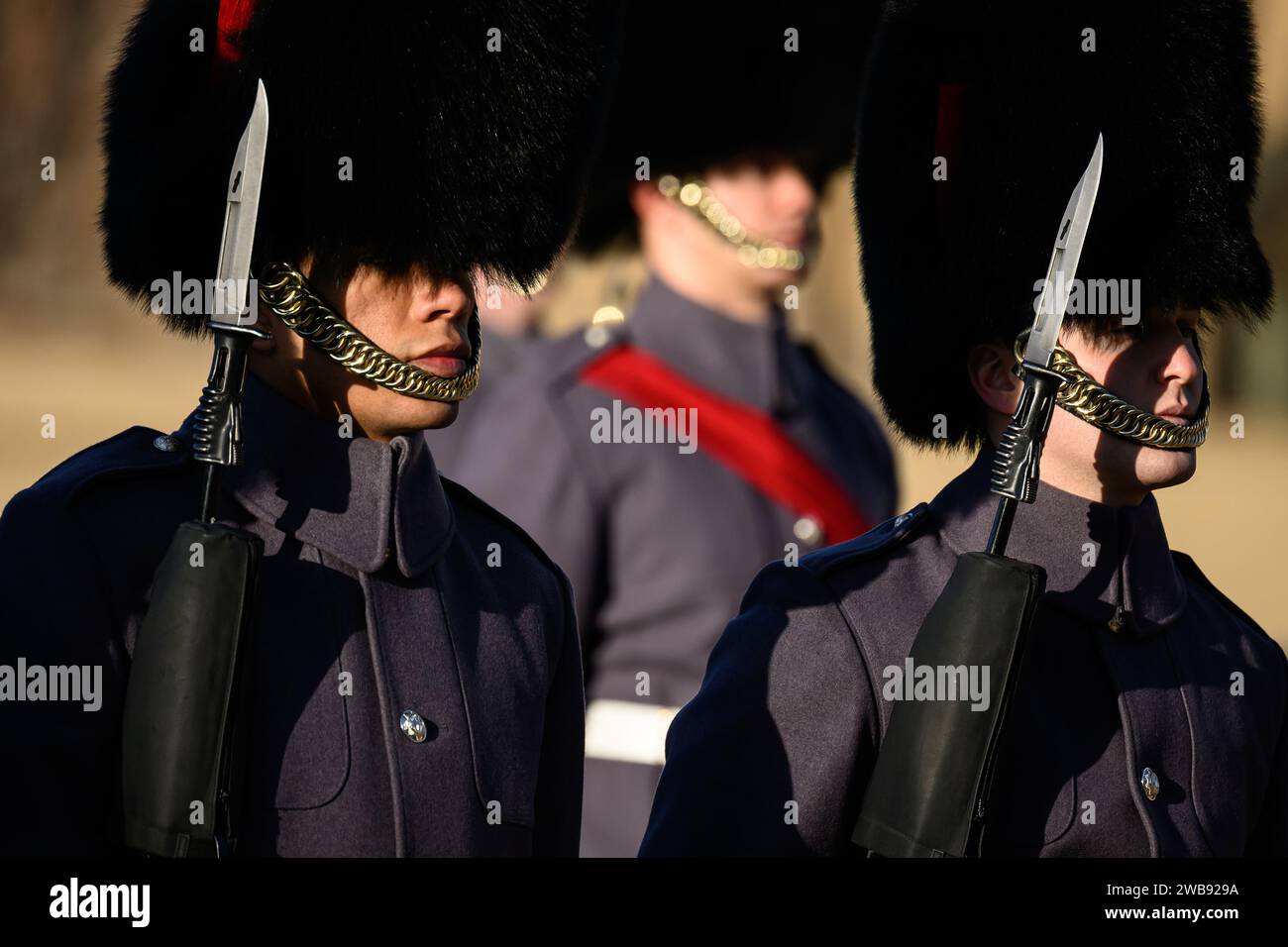 Soldiers from Number 7 Company of the Coldstream Guards move into ...