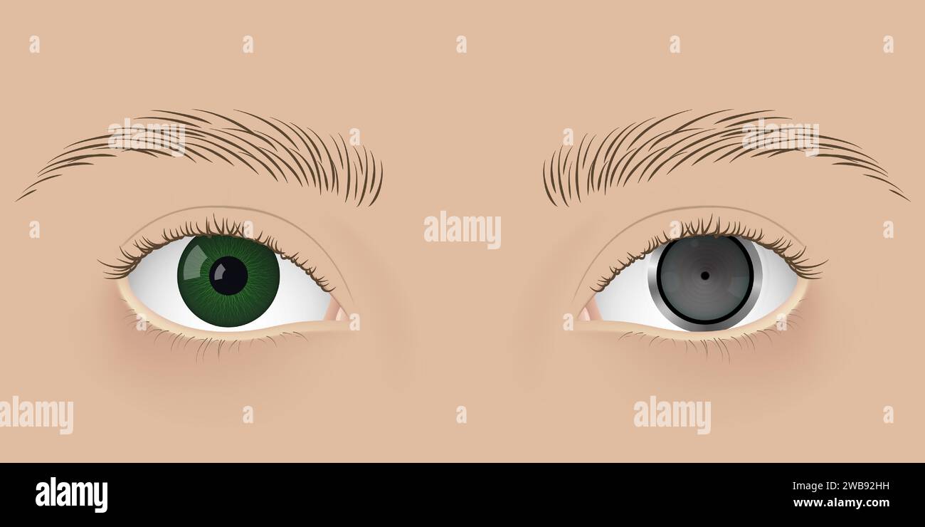 Inside digital camera Stock Vector Images - Alamy