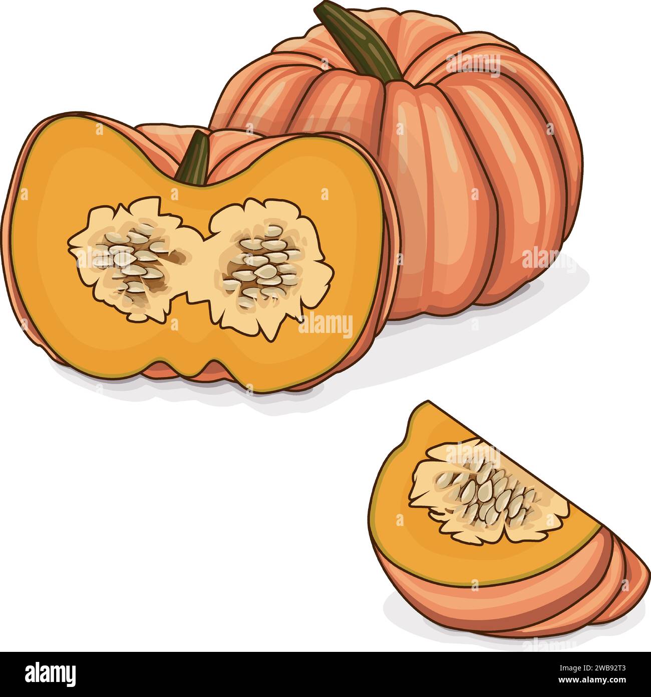Whole and chopped Pink pumpkins or Porcelain Doll squash. Winter squash ...