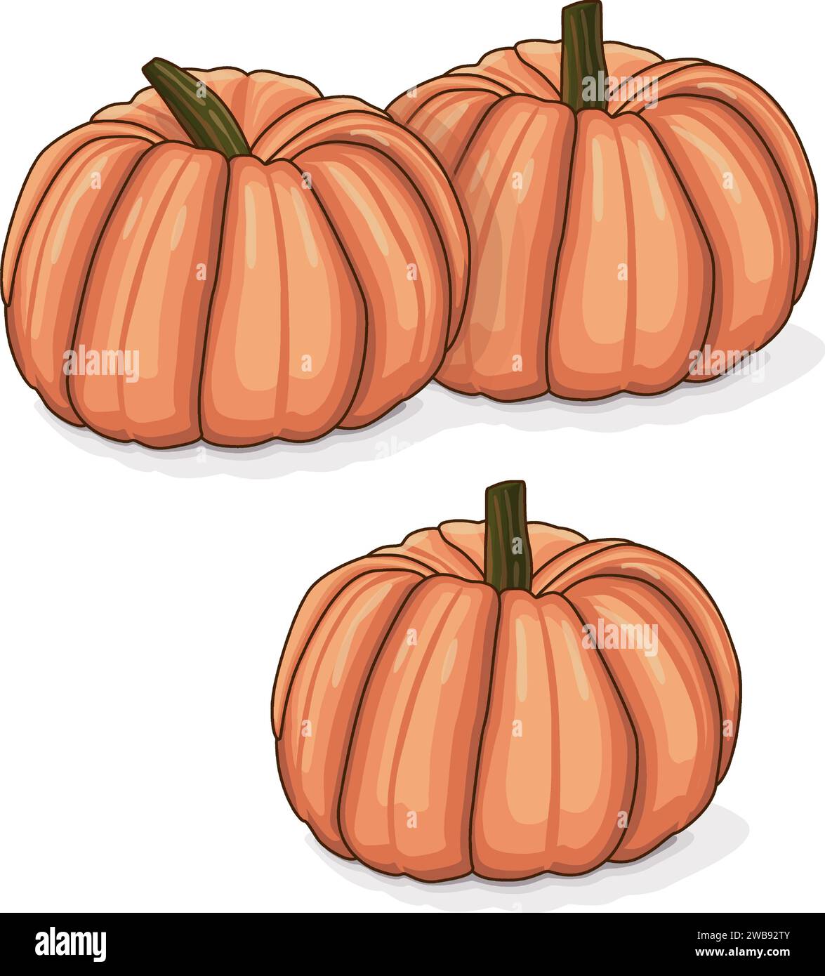 Group of Pink pumpkins or Porcelain Doll squash. Winter squash ...