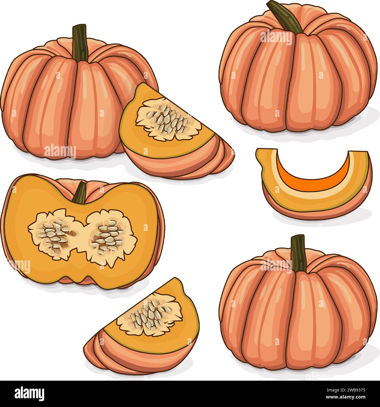 Set of Pink pumpkins or Porcelain Doll squash. Winter squash. Cucurbita ...