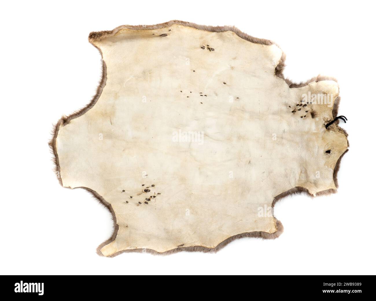 Brown leather textile texture Cut Out Stock Images & Pictures - Alamy