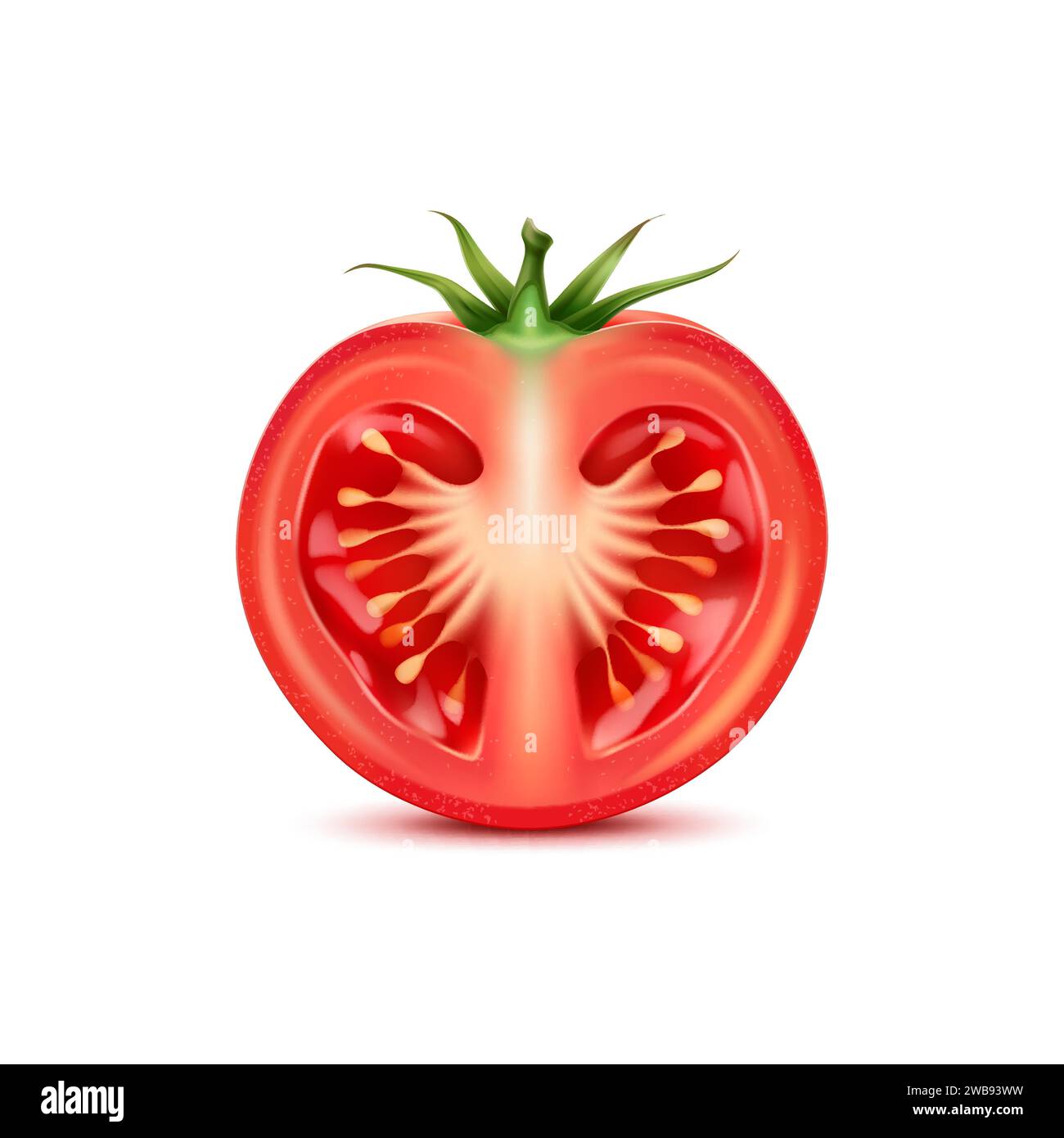 Raw realistic red ripe tomato half slice, isolated cherry vegetable ...