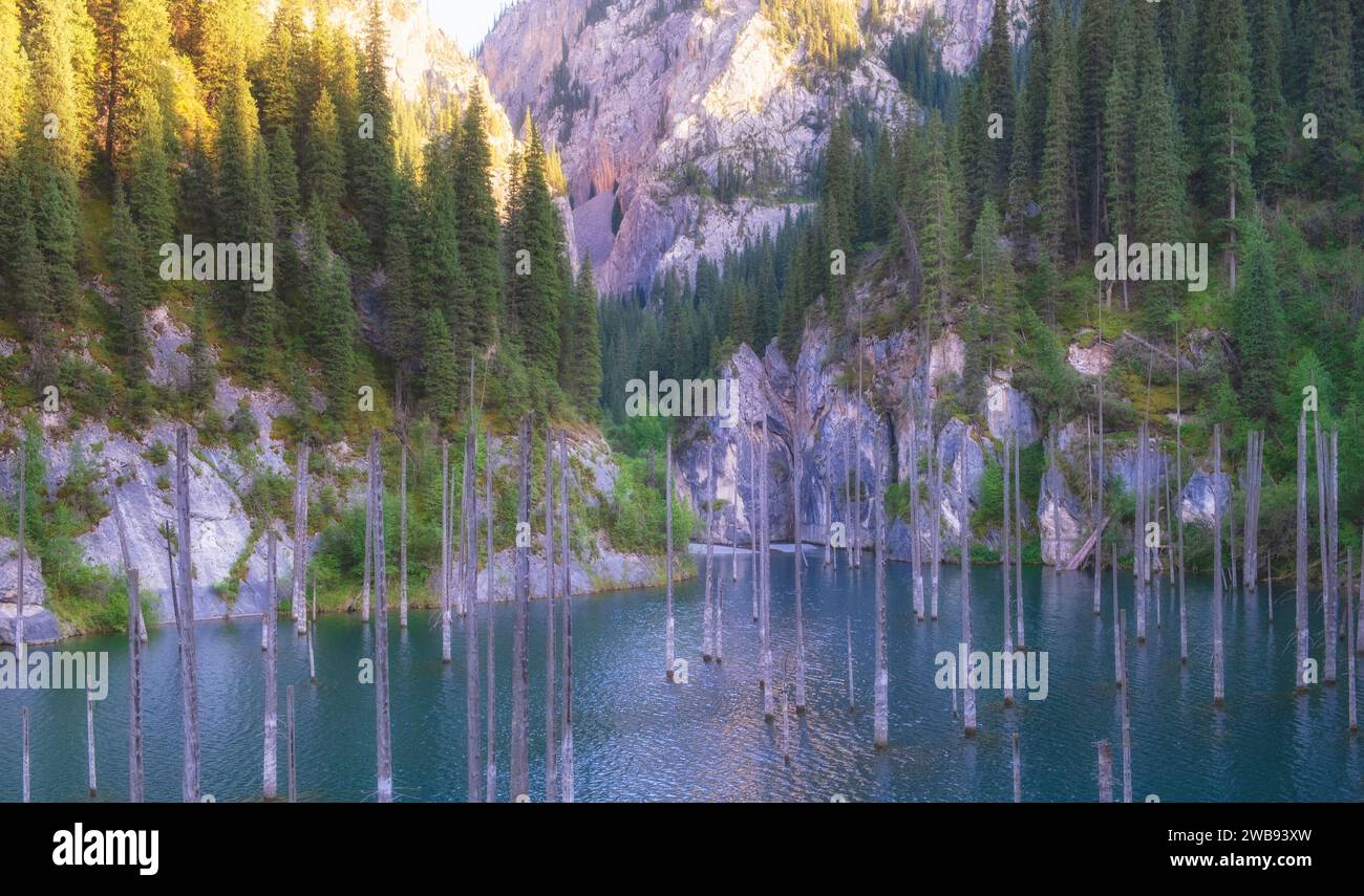 Kaindy lake flooded pine hi-res stock photography and images - Alamy