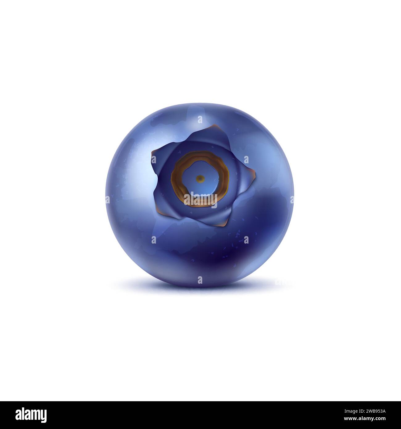 Realistic appearance Cut Out Stock Images & Pictures - Alamy