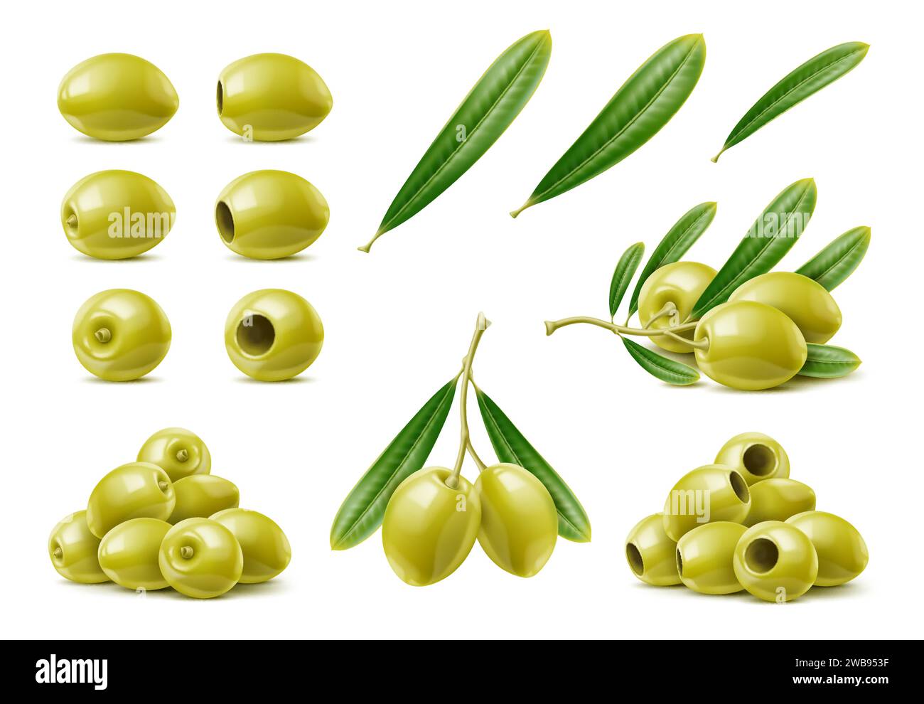 Realistic raw green olives. Isolated olive branch and leaves. Vector ...