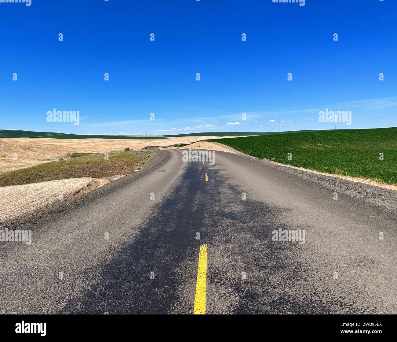 An empty two-lane road stretches off into the distance, bordered by a ...