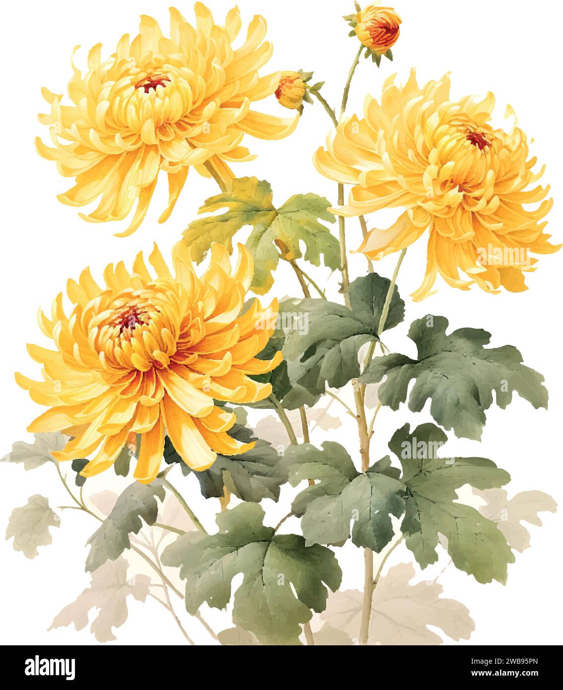 Meticulous vector vectors hi-res stock photography and images - Alamy