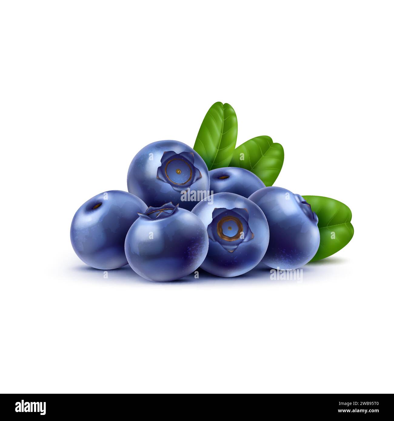 Deep purple berries Stock Vector Images - Alamy
