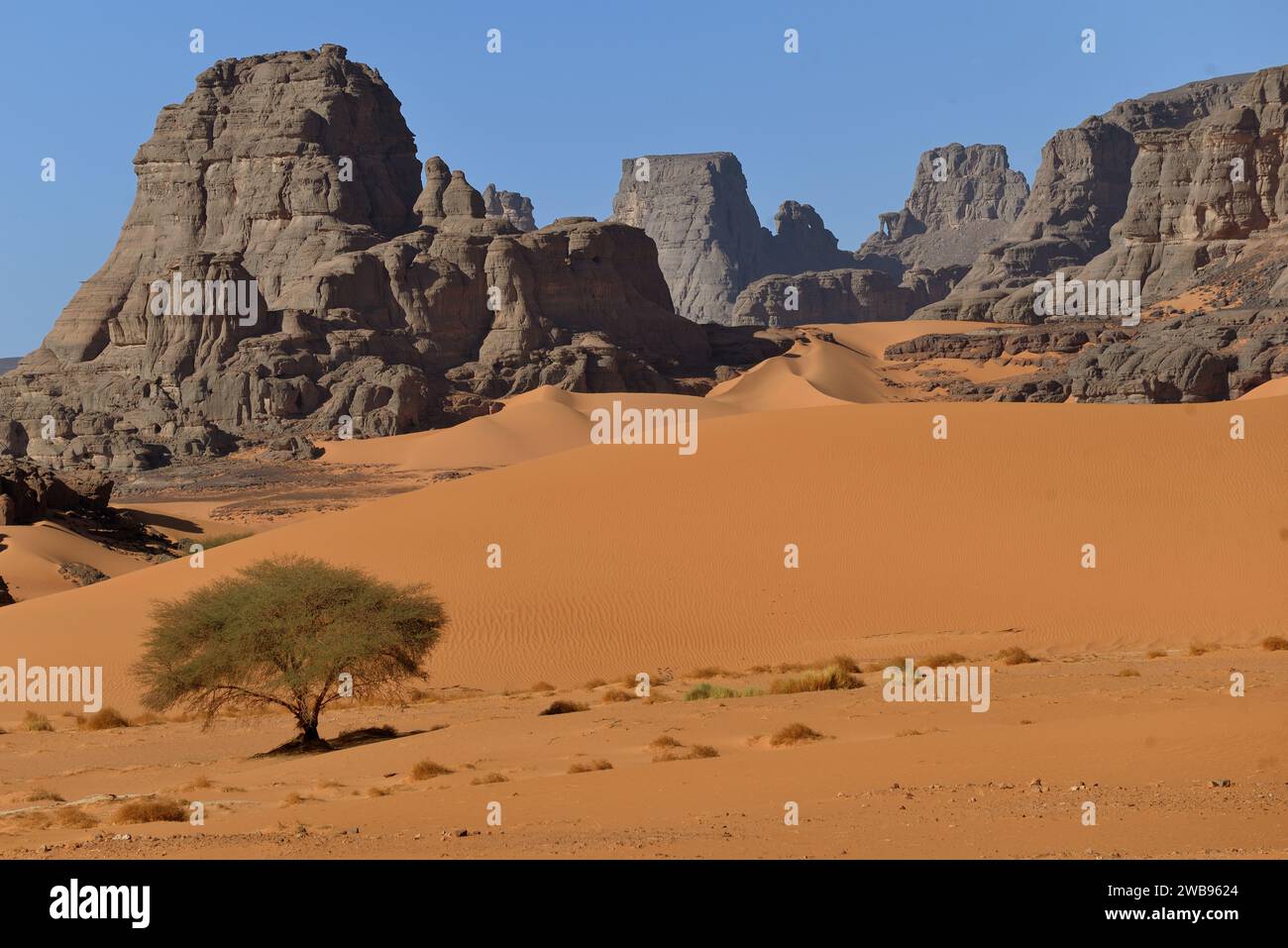 SAHARA DESERT AND SAND DUNES AND PATTERNS IN ALGERIA AROUND DJANET ...