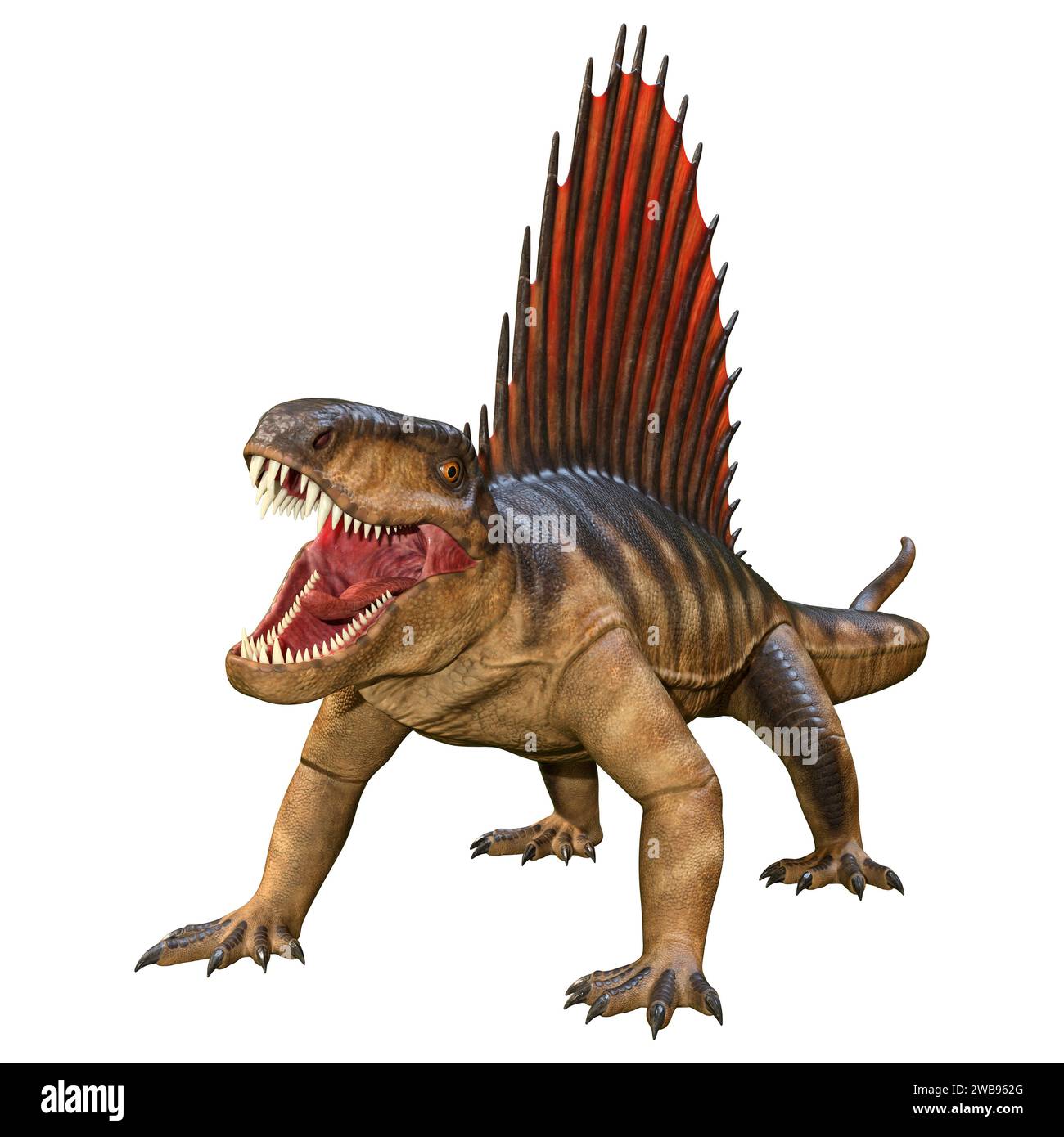 3D rendering of a dinosaur Dimetrodon isolated on white background ...
