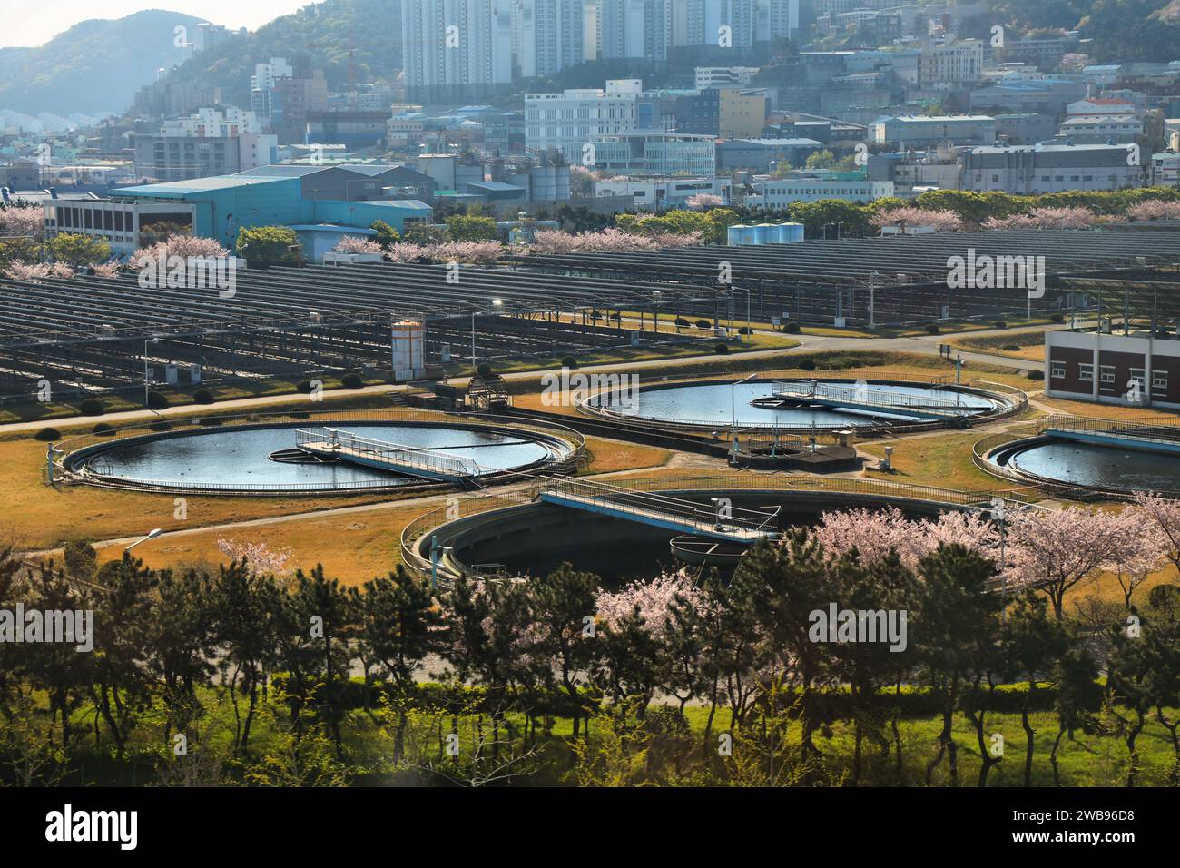 Sewage treatment plant together with solar power station in Busan ...