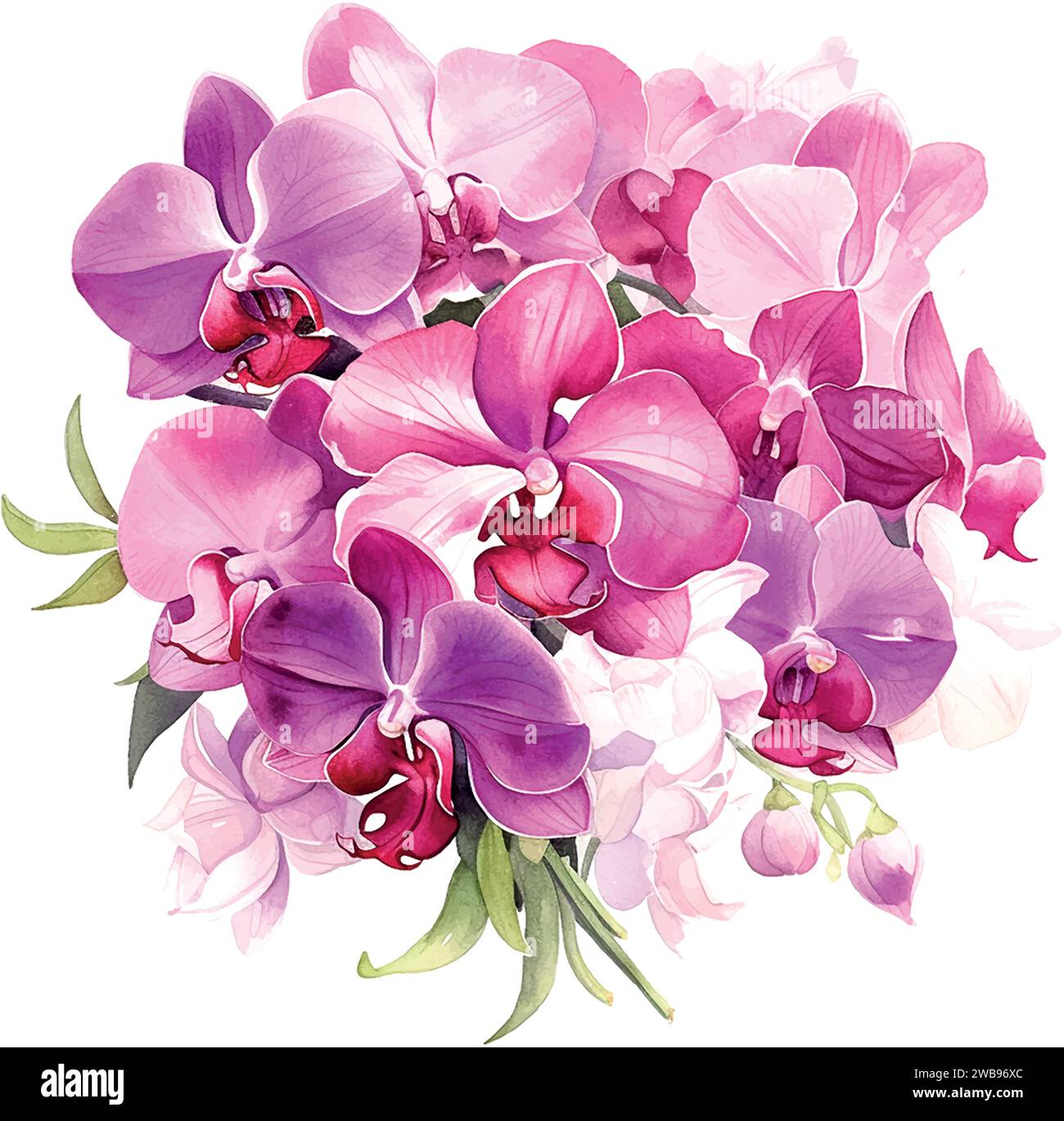 Dendrobium orchid flower plant Stock Vector Images - Alamy