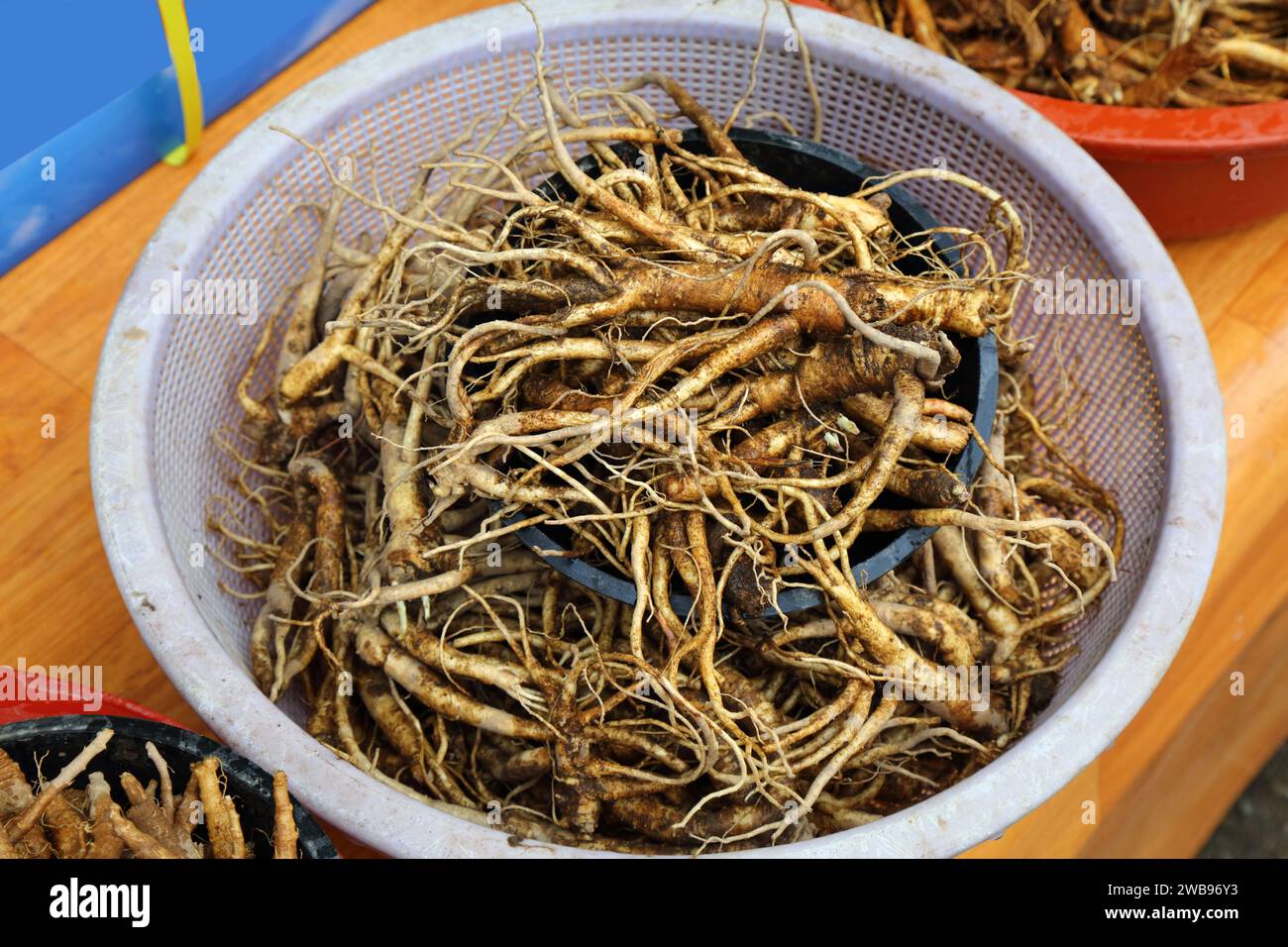 Ginseng root traditional Korean medicine natural product. Medicinal ...