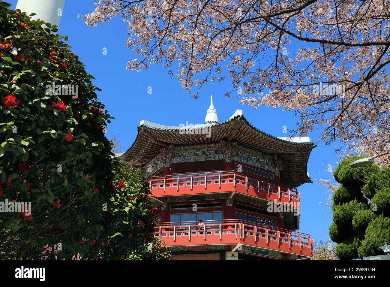 Yongdusan Park in Busan, South Korea. Octagonal pavilion, cherry ...