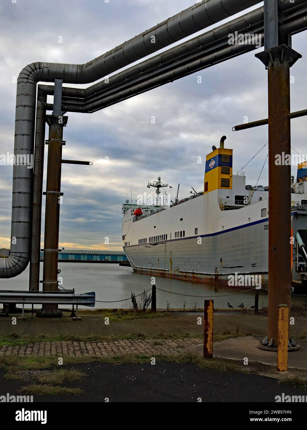The “Celestine” roll on roll off cargo ship framed by modern high ...