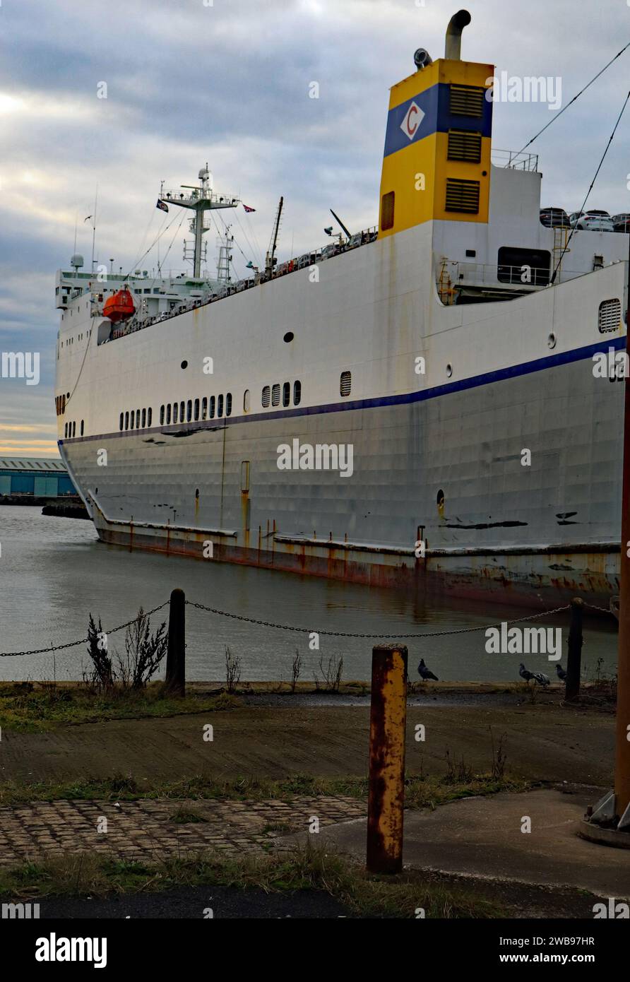 The “Celestine” roll on roll off cargo ship docked in Brocklebank dock ...