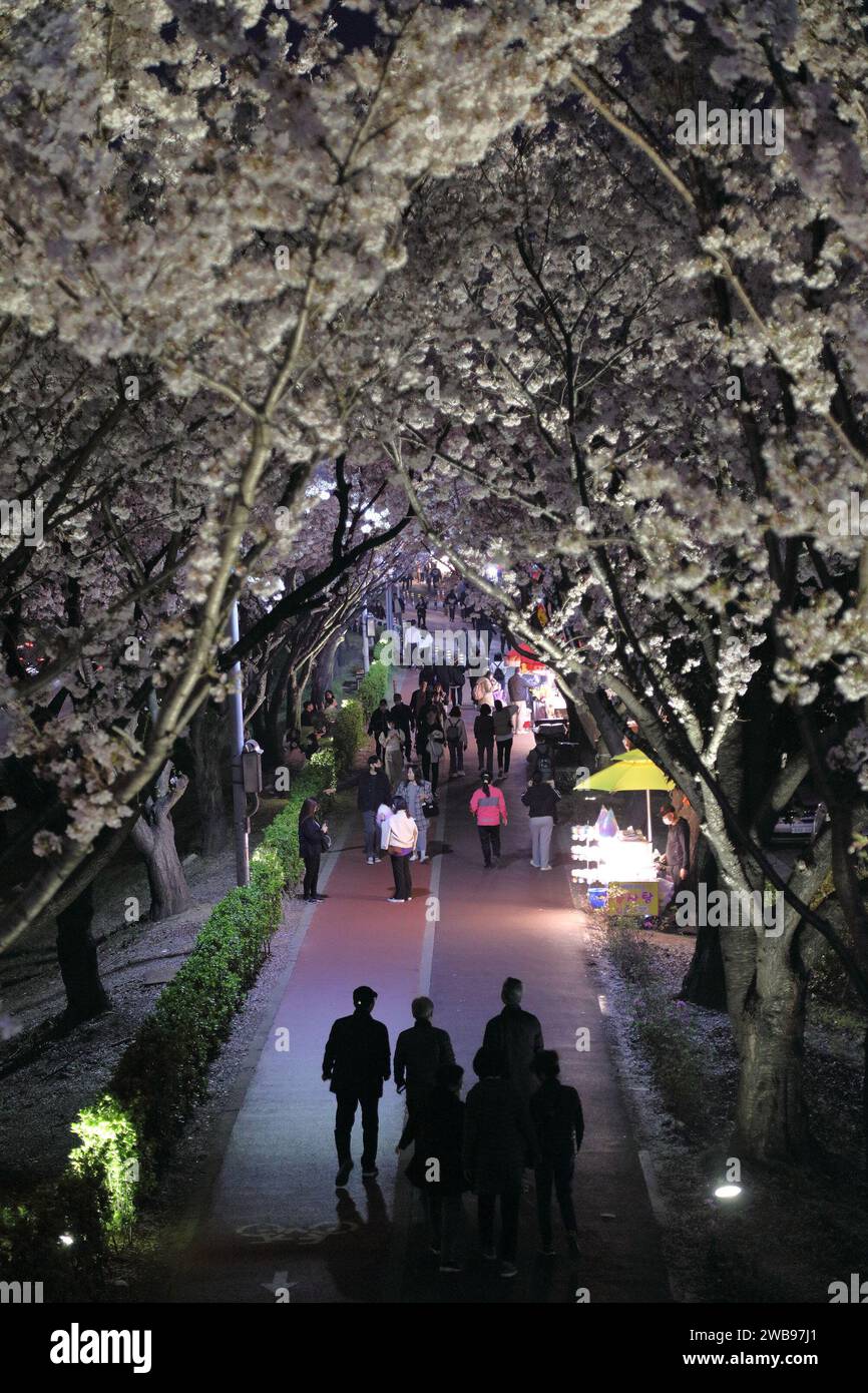 BUSAN, SOUTH KOREA - MARCH 30, 2023: People visit Nakdong Embankment ...