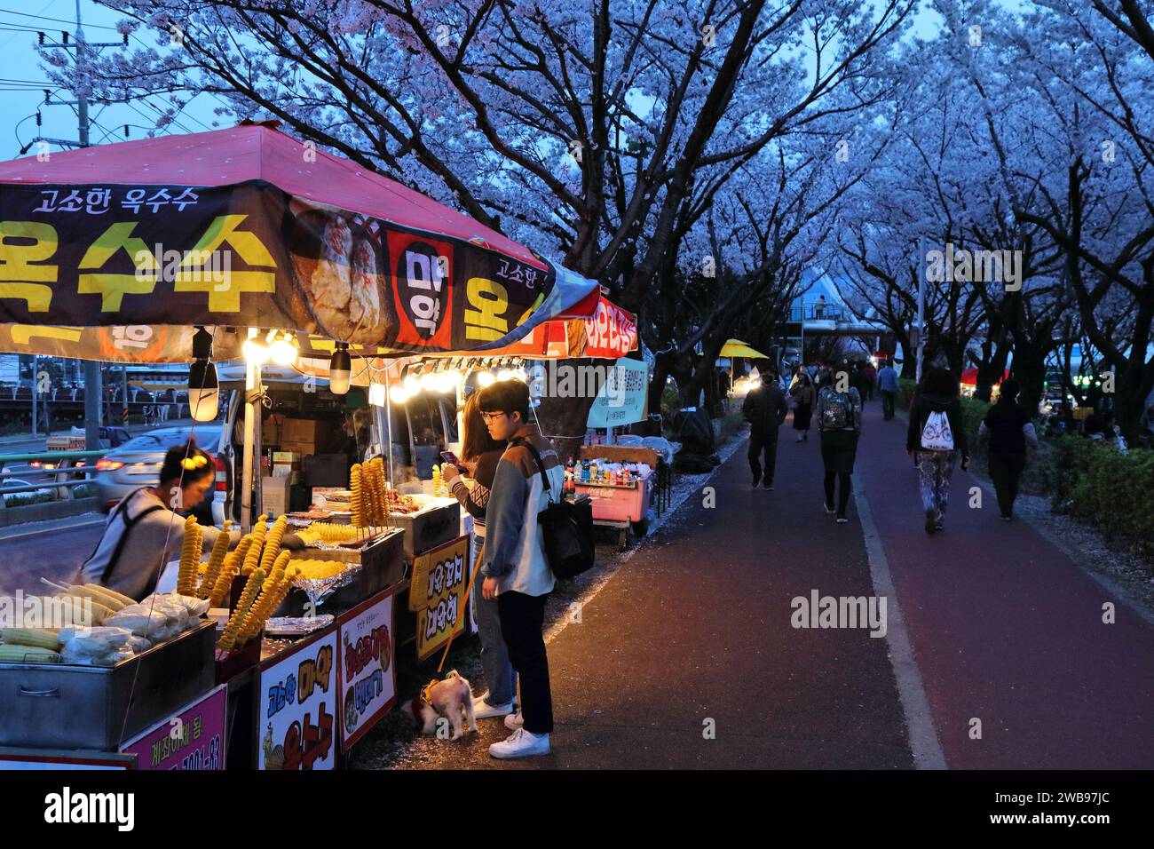 BUSAN, SOUTH KOREA - MARCH 30, 2023: People visit Nakdong Embankment ...
