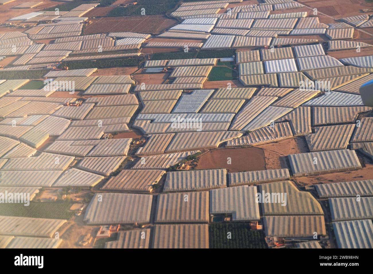 Large scale greenhouse plantations in Agadir, Morocco. Tomato, raspberry and strawberry covered ...