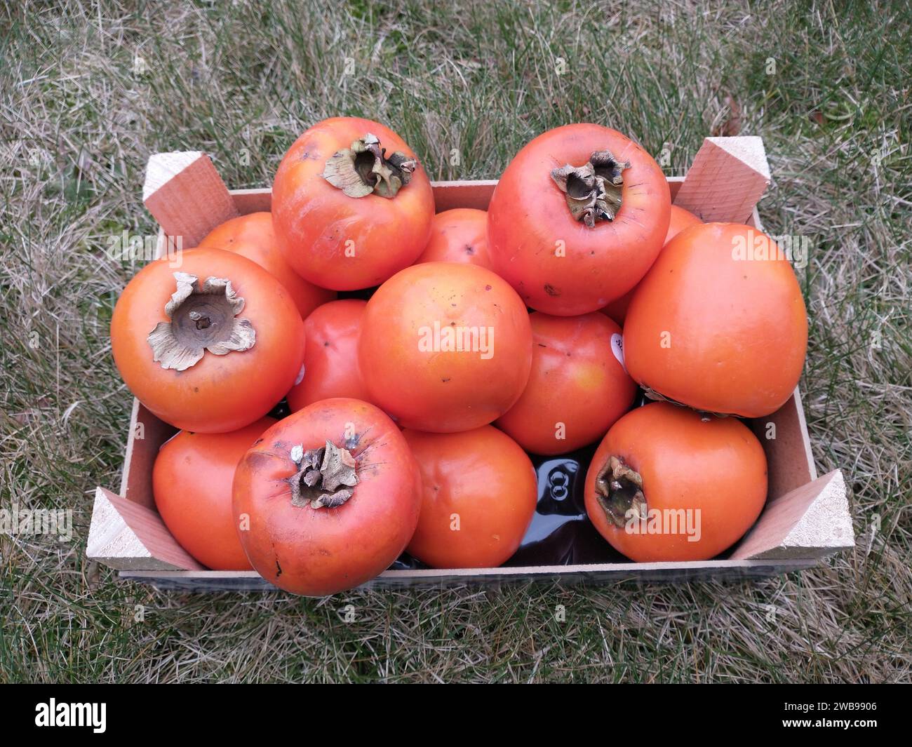 A box of ripe sweet persimmon fruits in an outdoor setting Stock Photo ...
