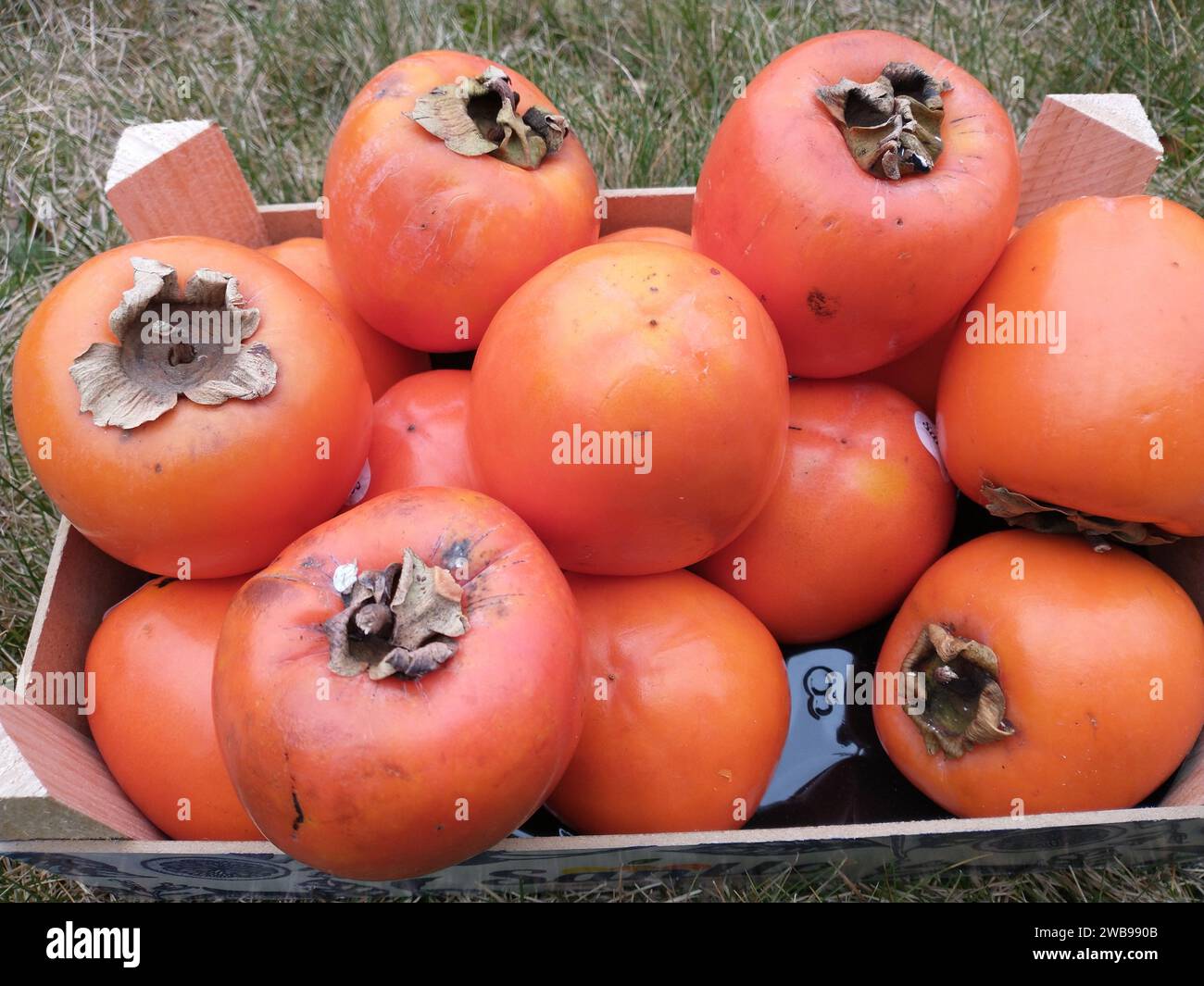 A box of ripe sweet persimmon fruits in an outdoor setting Stock Photo ...