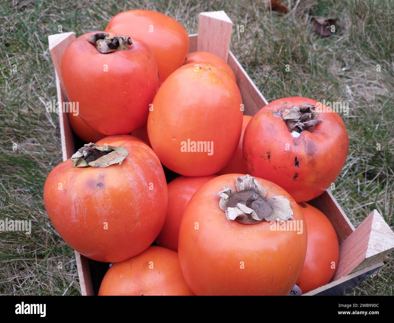 A box of ripe sweet persimmon fruits in an outdoor setting Stock Photo ...