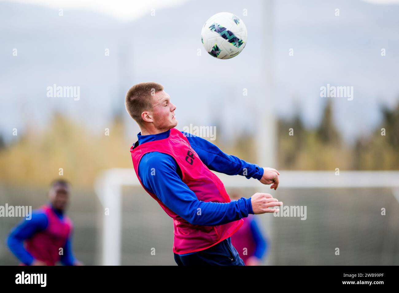 Bram jacobs hi-res stock photography and images - Alamy