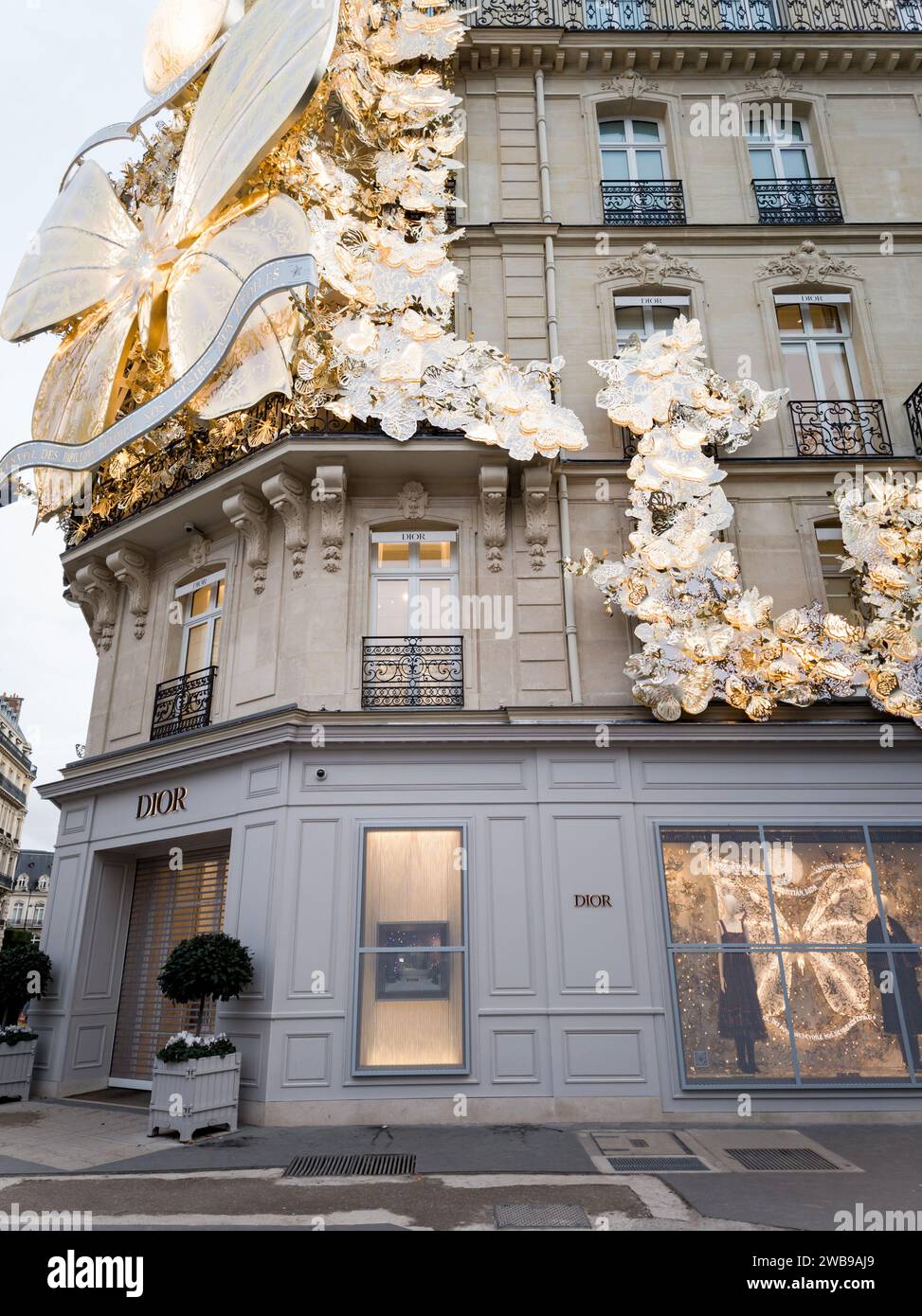 France, Paris, January 09, 2024 - Christian Dior brand retail shop logo ...