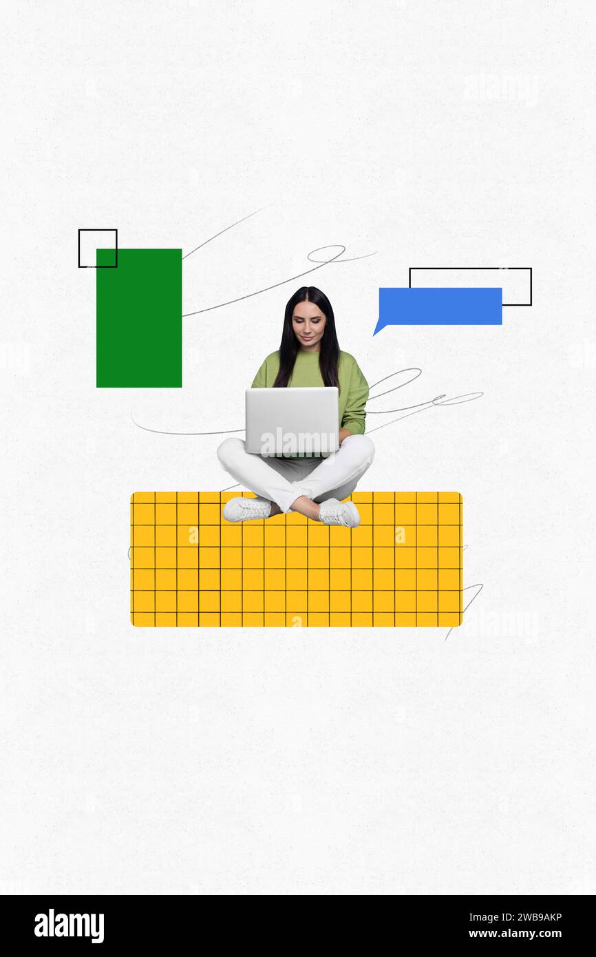 Vertical picture collage sitting young woman freelancer worker ...