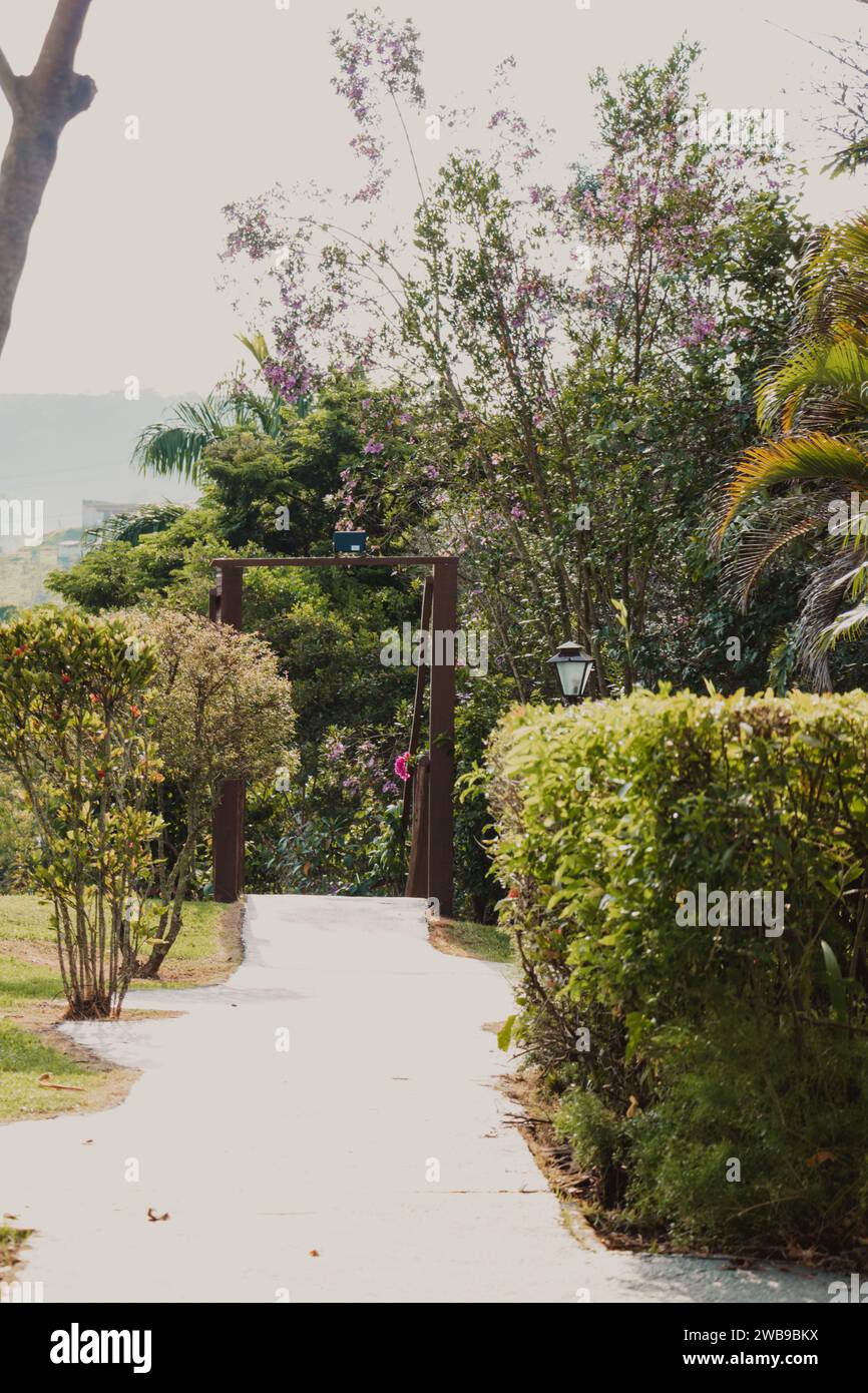 Path pathway way road steps hi-res stock photography and images - Alamy