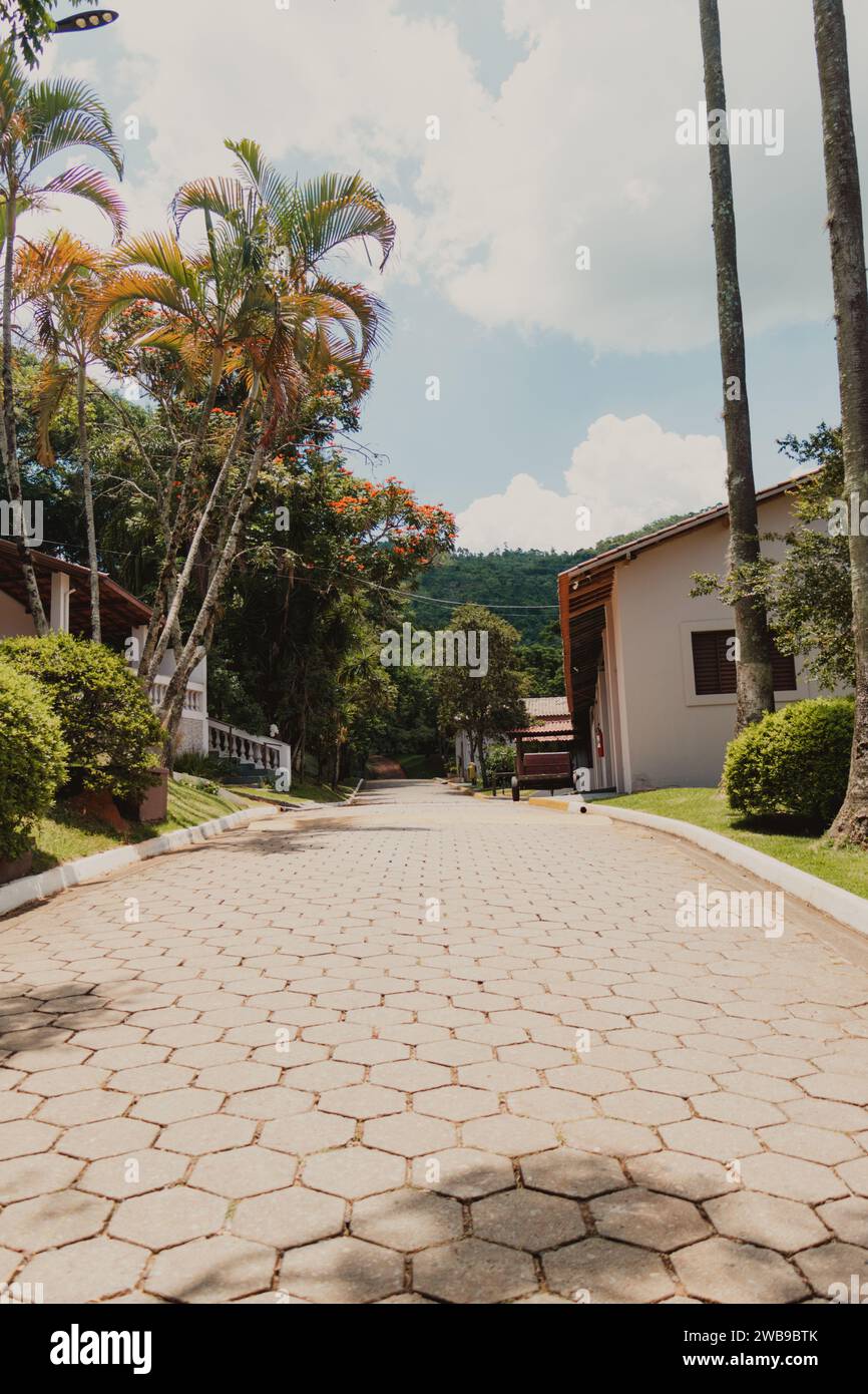 Scenic cobblestone road green grass hi-res stock photography and images ...