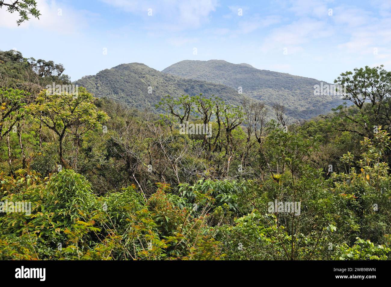 Jungle covered mountains in Brazil - Serra Verde landscape Stock Photo ...