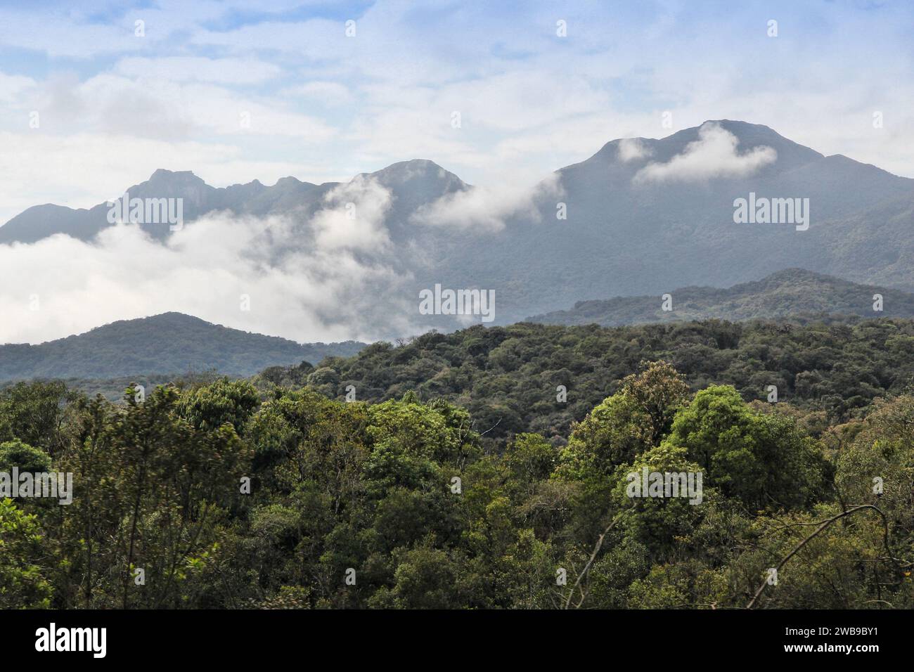 Jungle covered mountains in Brazil - Serra Verde landscape Stock Photo ...