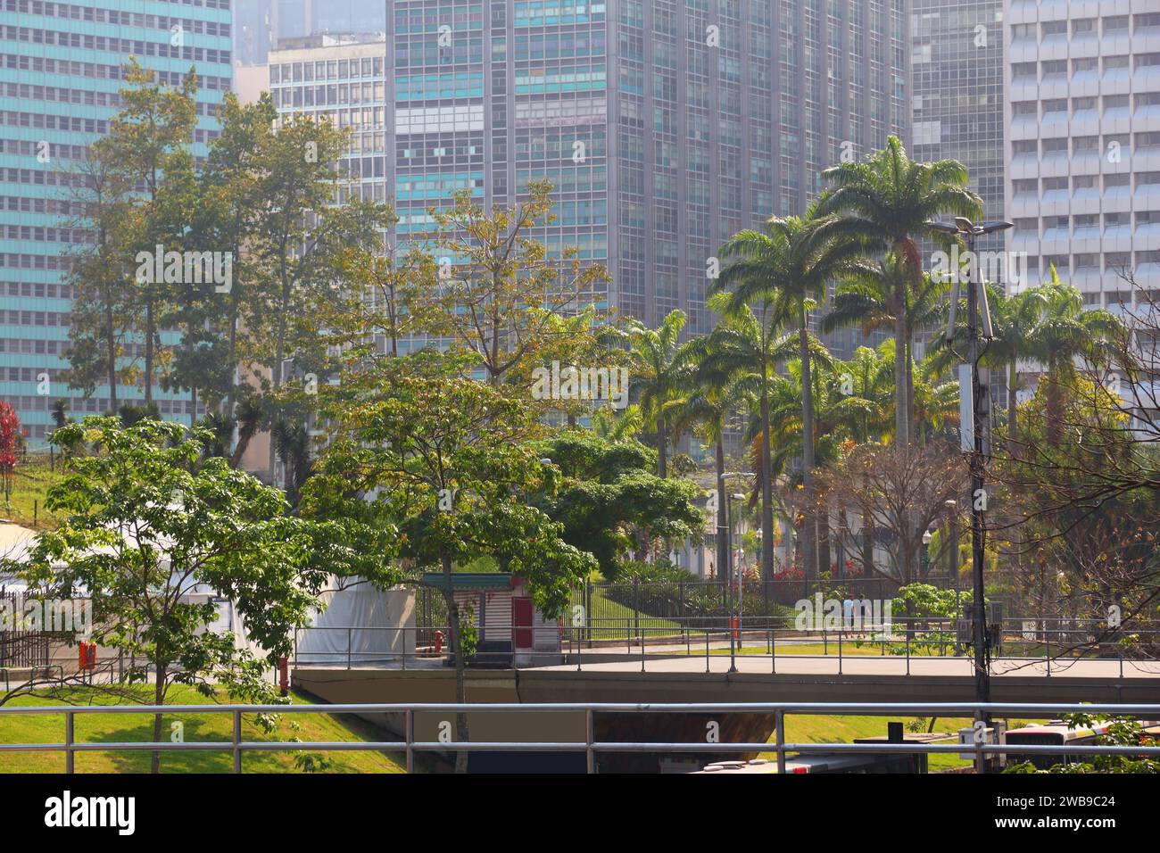 Rio de Janeiro office buildings and palm trees - business district ...