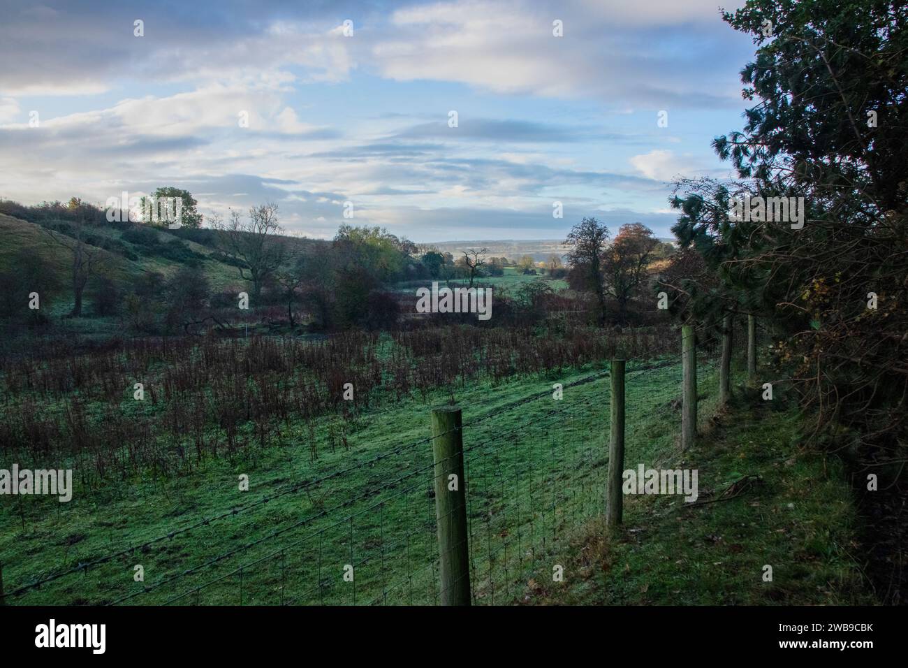 Witton hi-res stock photography and images - Alamy