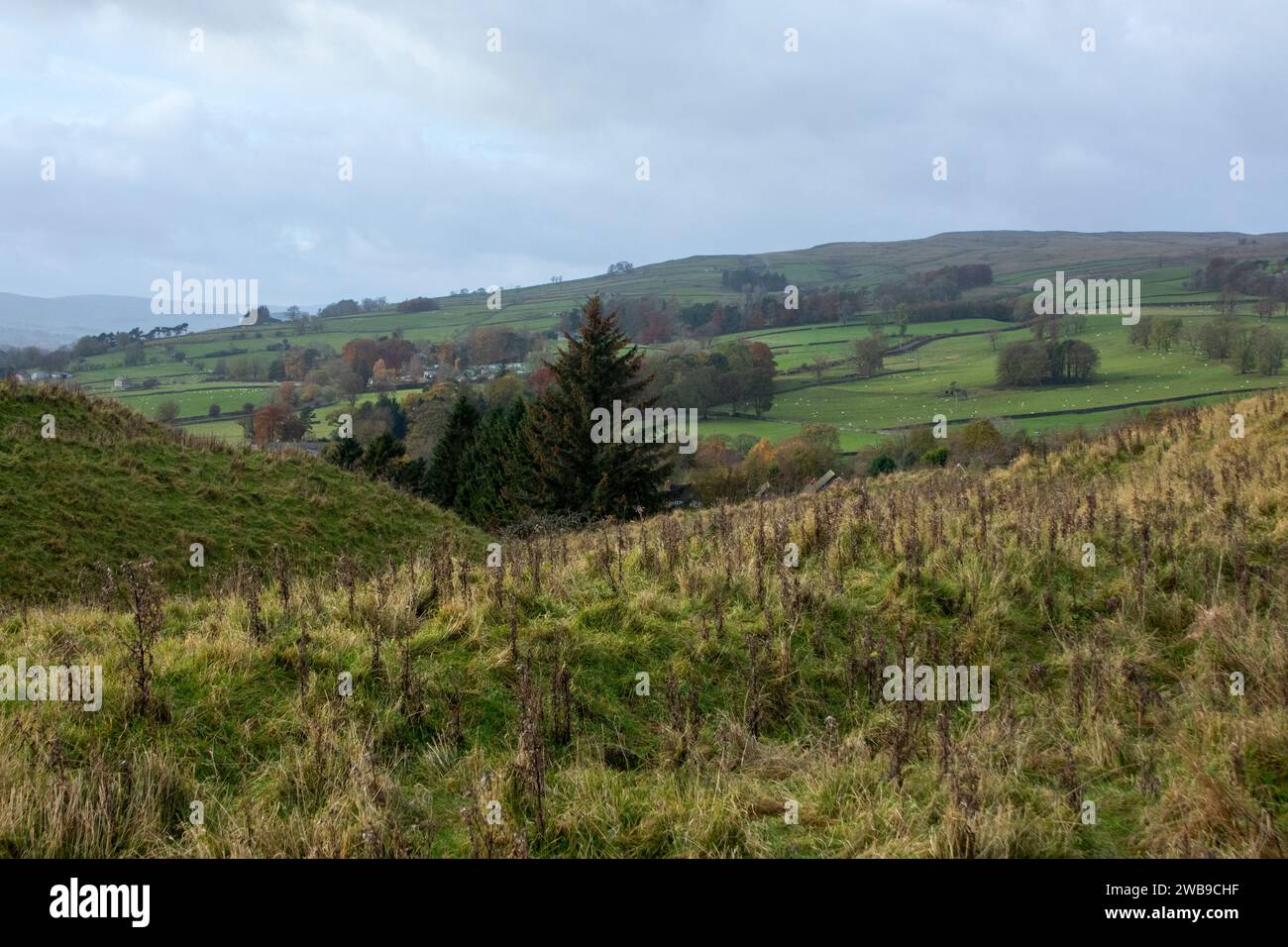 Weardale landscape in autumn Stock Photo - Alamy