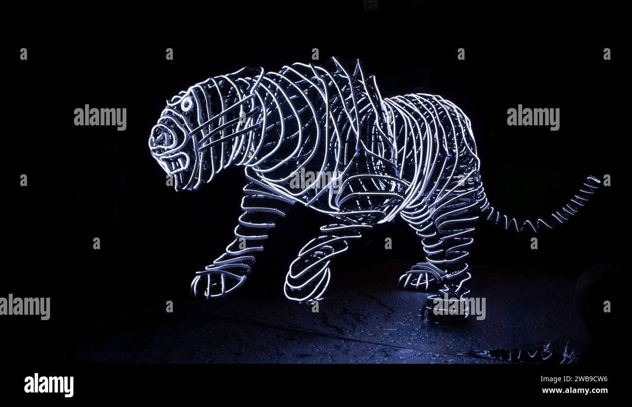 Light tiger at Lumiere Durham 2023 Stock Photo - Alamy