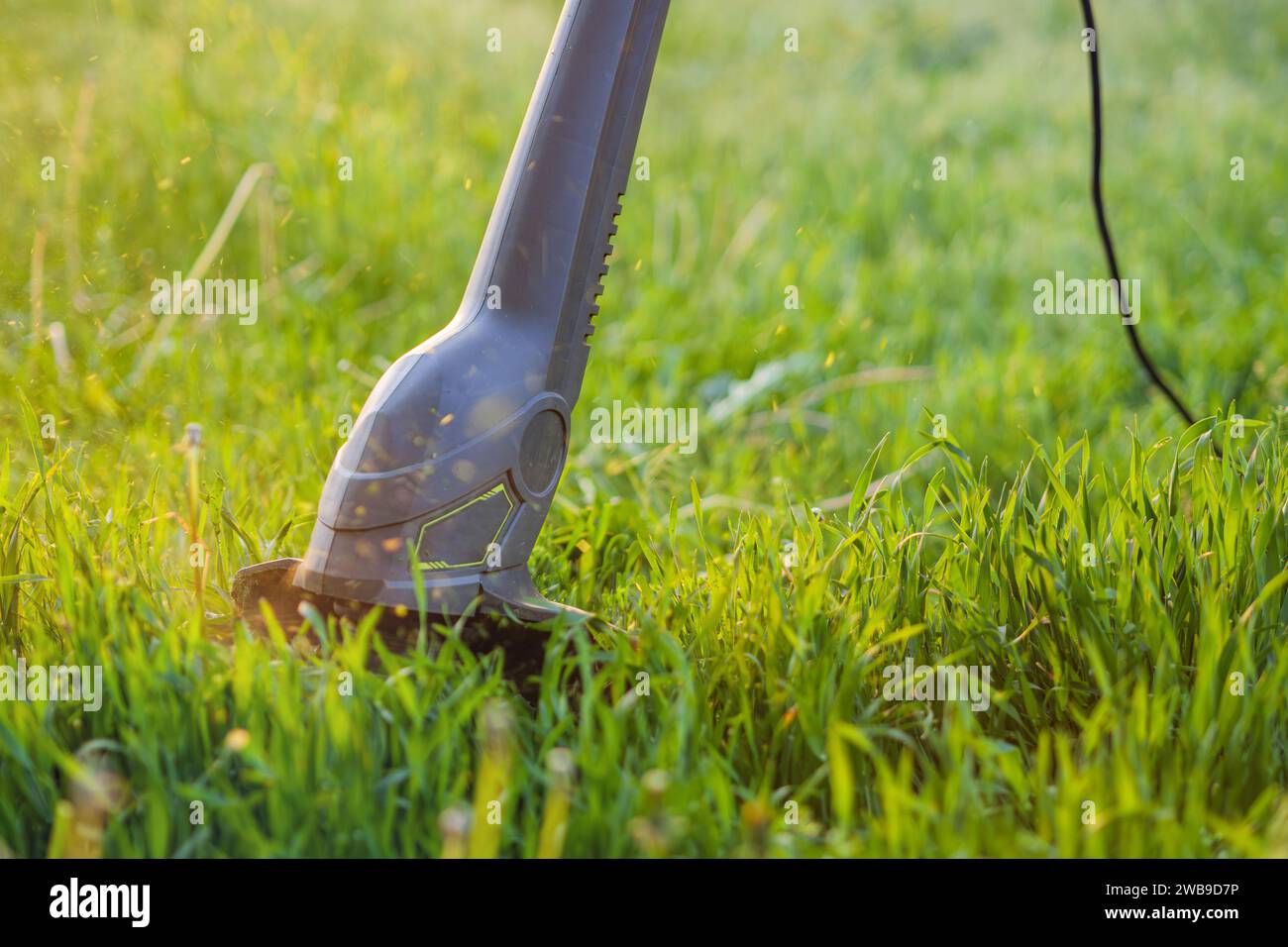 Electric lawn trimmer in operation. An image of the working part of a ...