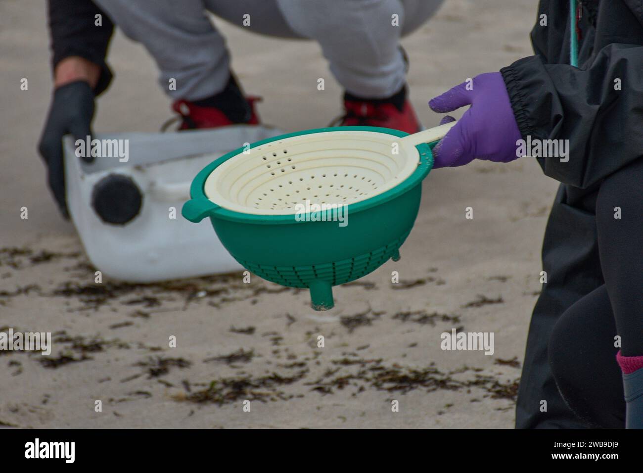 The volunteers to collect the pellets on the beaches of Galicia use ...