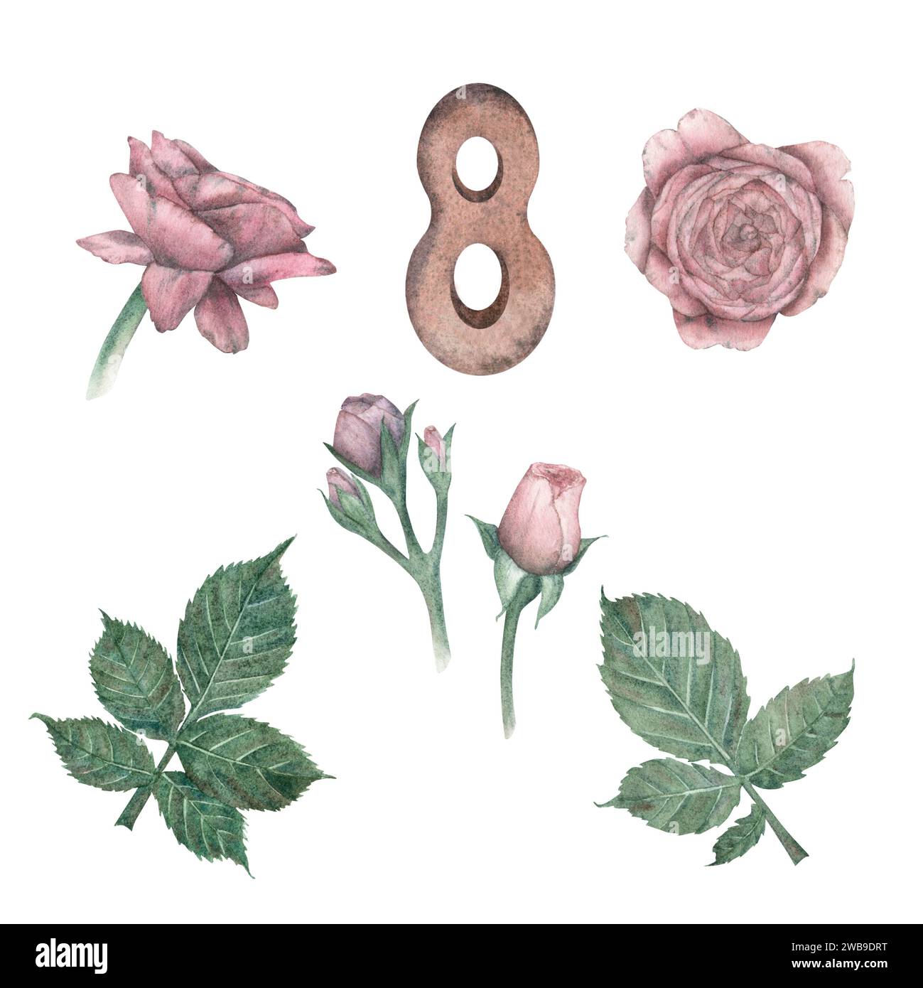 A clipart of pink roses with different buds, green leaves and a brown ...