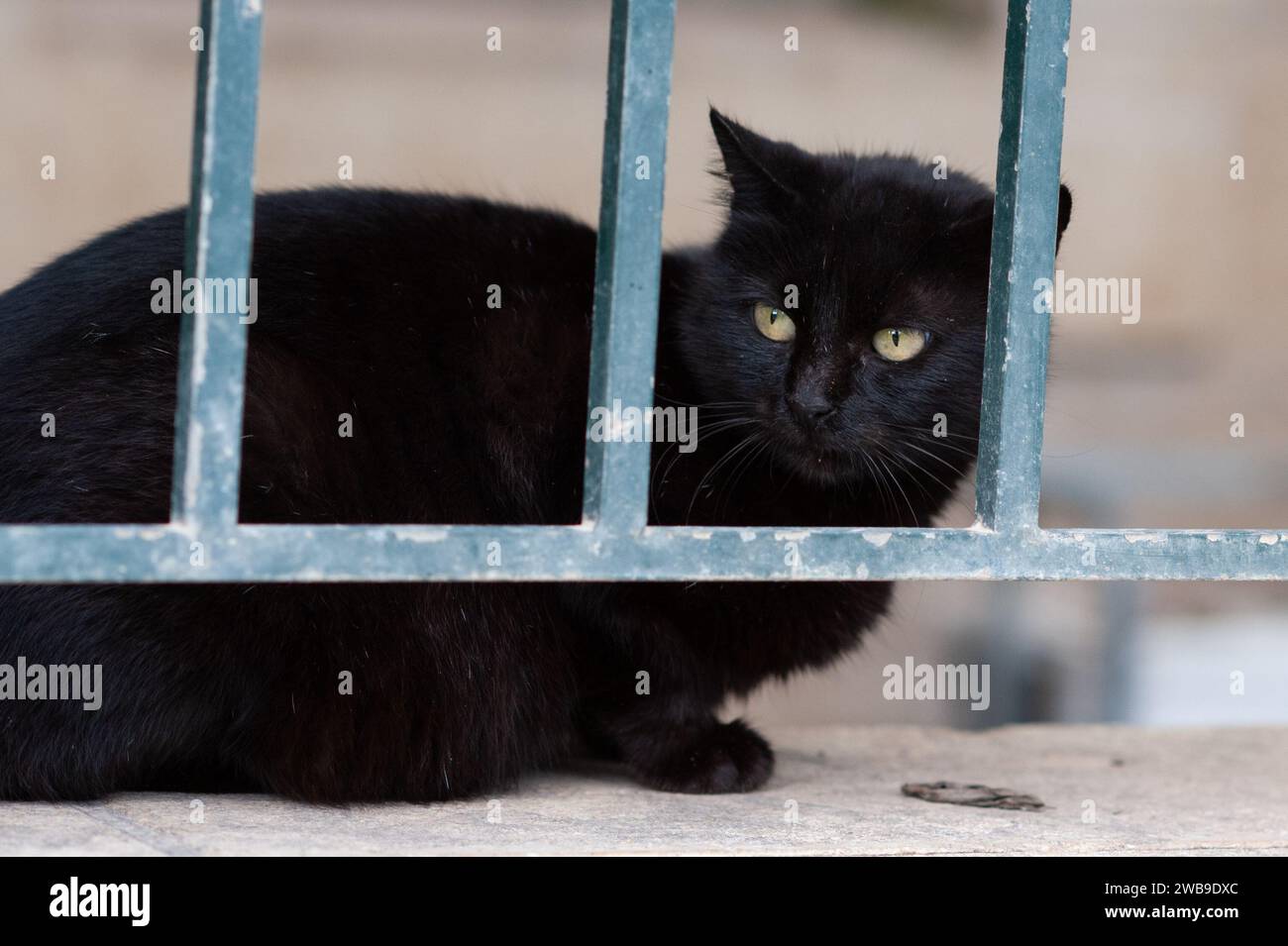 Dusty face hi-res stock photography and images - Alamy