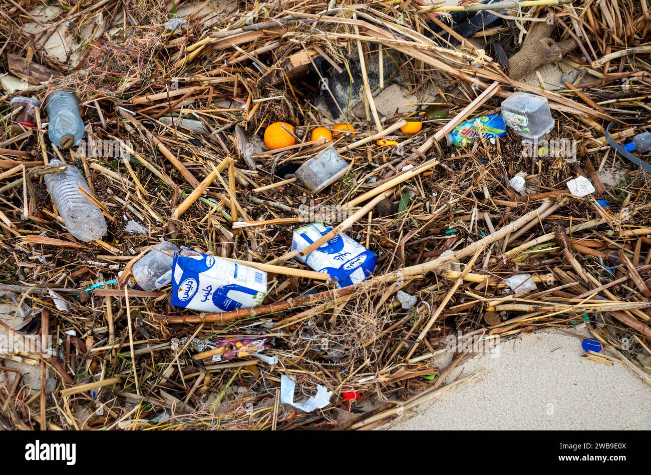 Plastic waste, fruit and general dead vegetation and debris washed on a ...
