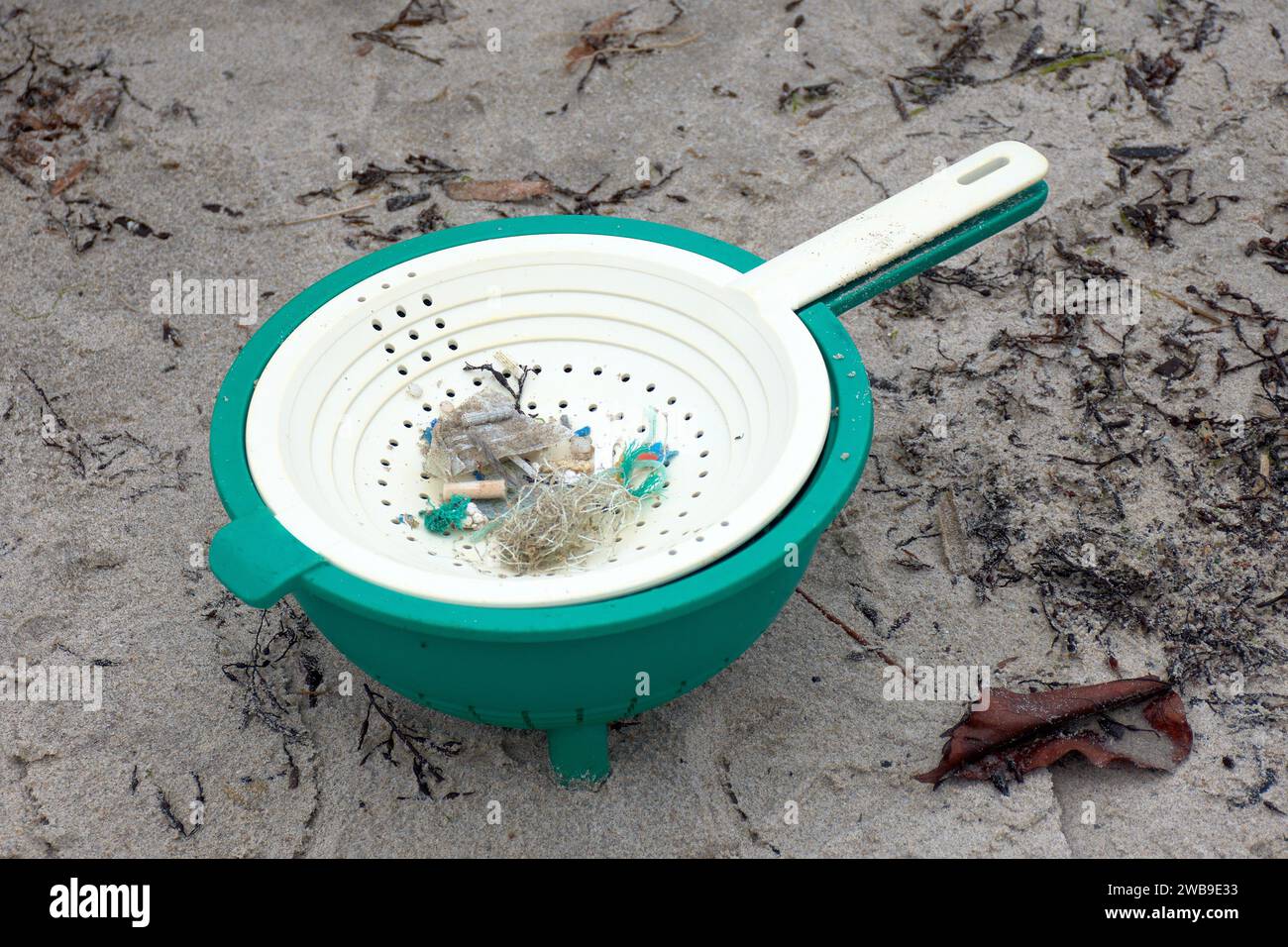 The volunteers to collect the pellets on the beaches of Galicia use ...